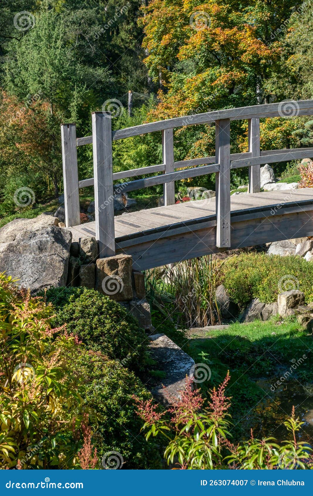 Arch Bridge in a Japanese Garden Stock Image - Image of ornamental ...