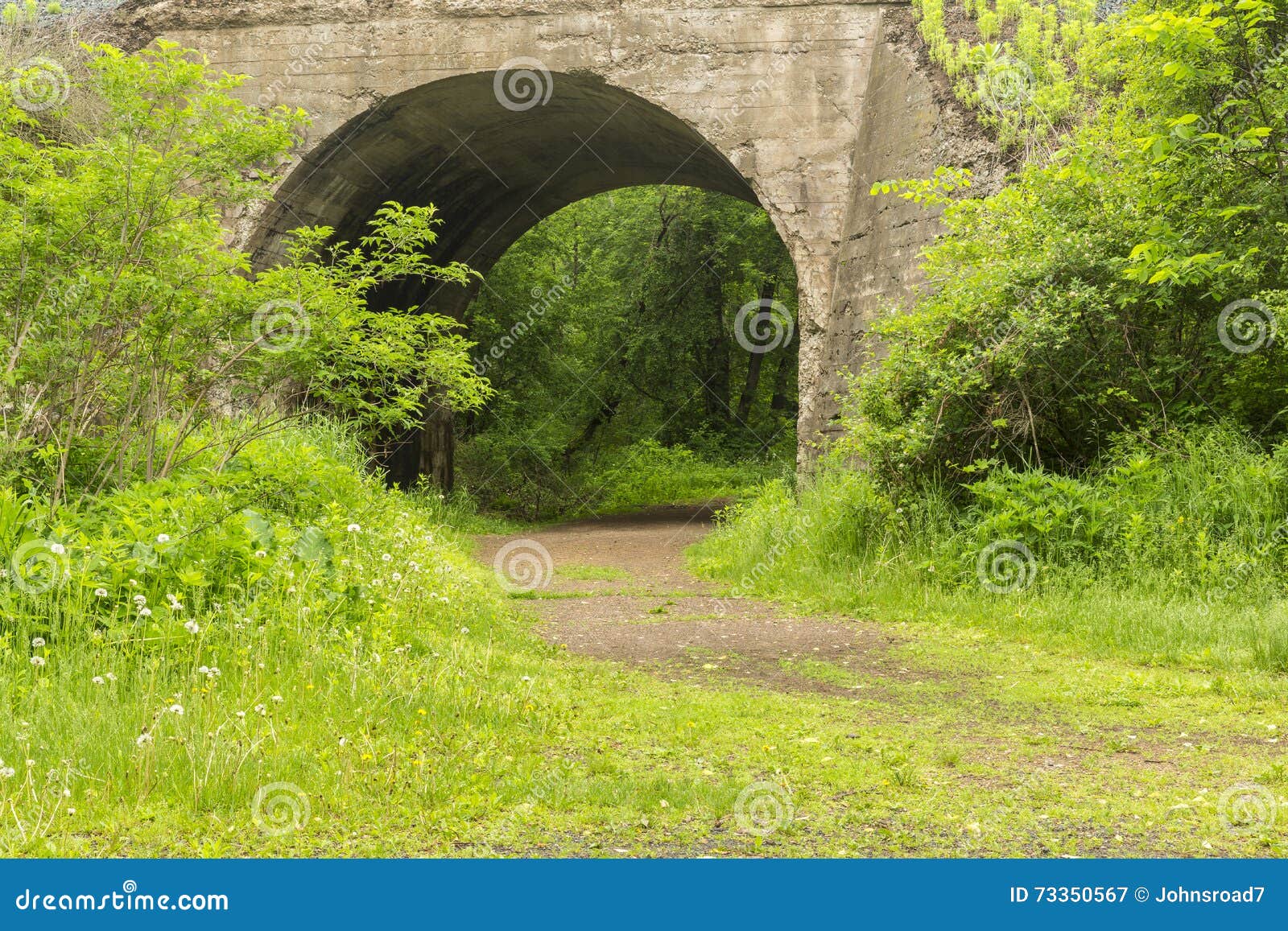 Arch Bridge Trail stock image. Image of hiking, park - 73350567
