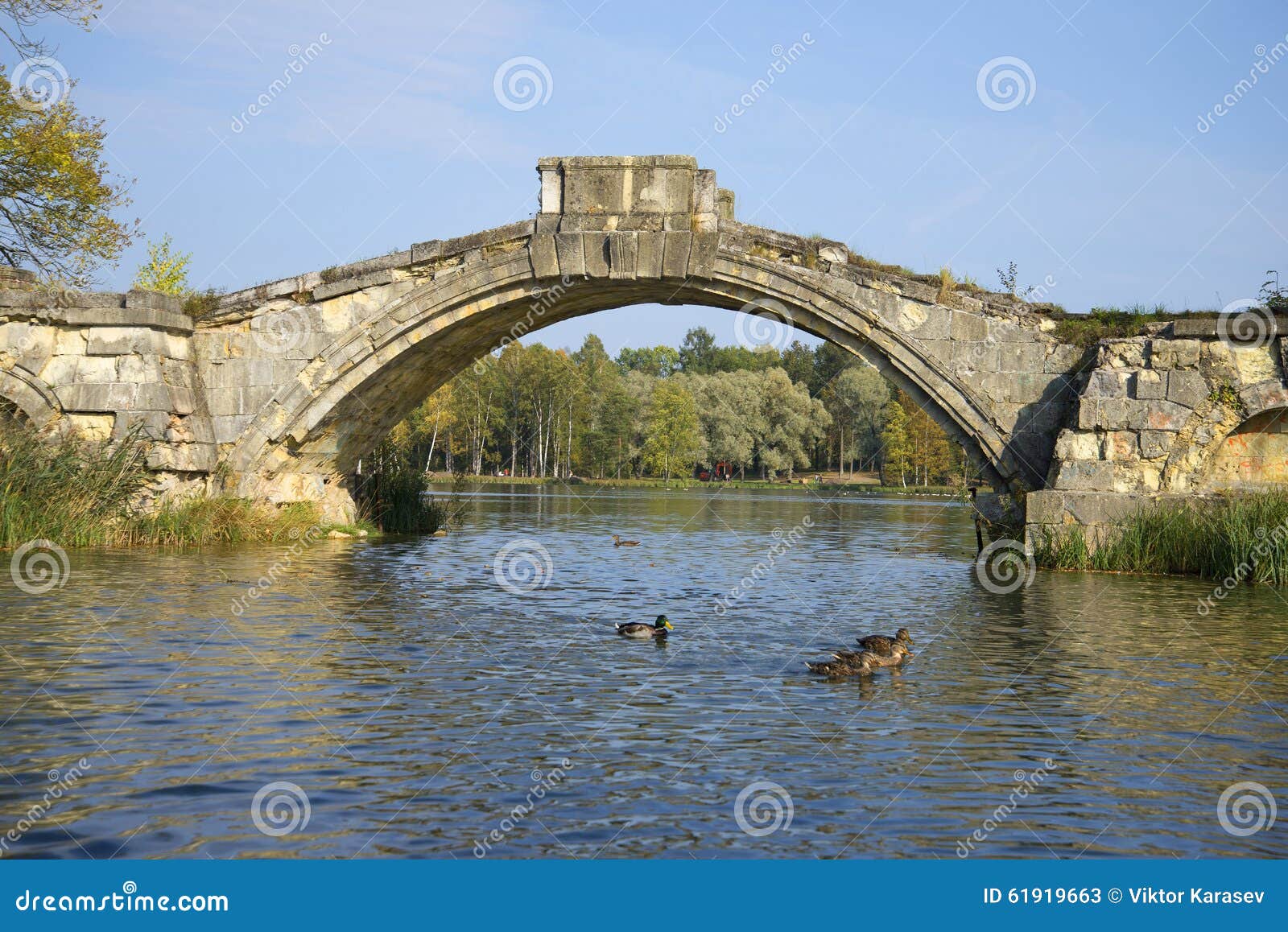 Arch Humpback Bridge. Gatchina Park Stock Image - Image of white ...