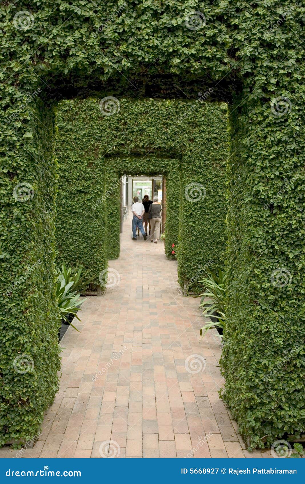 Arch of leaves stock image. Image of grass, tourist, modern - 5668927