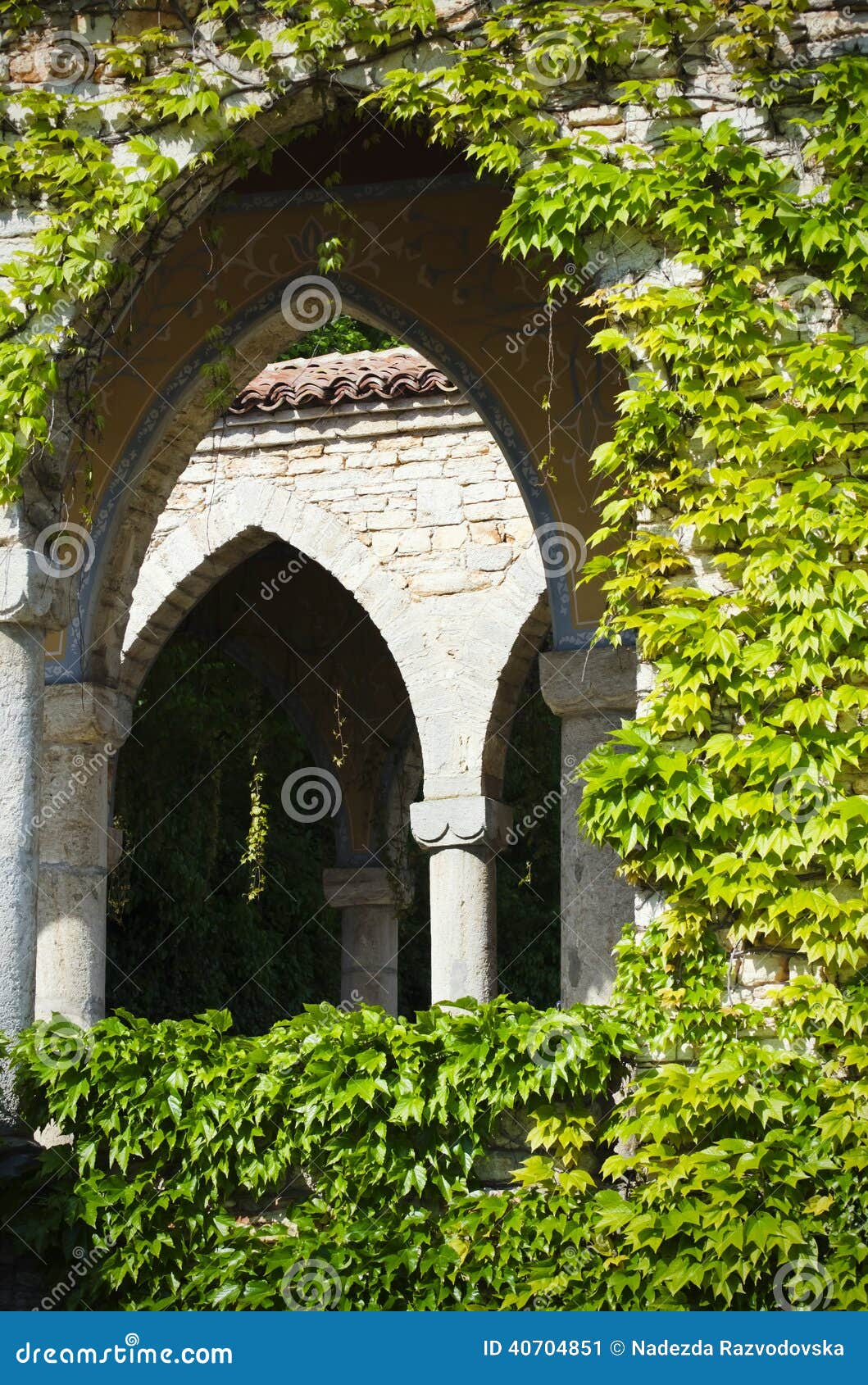 Arch with Leaves stock image. Image of gate, ancient - 40704851
