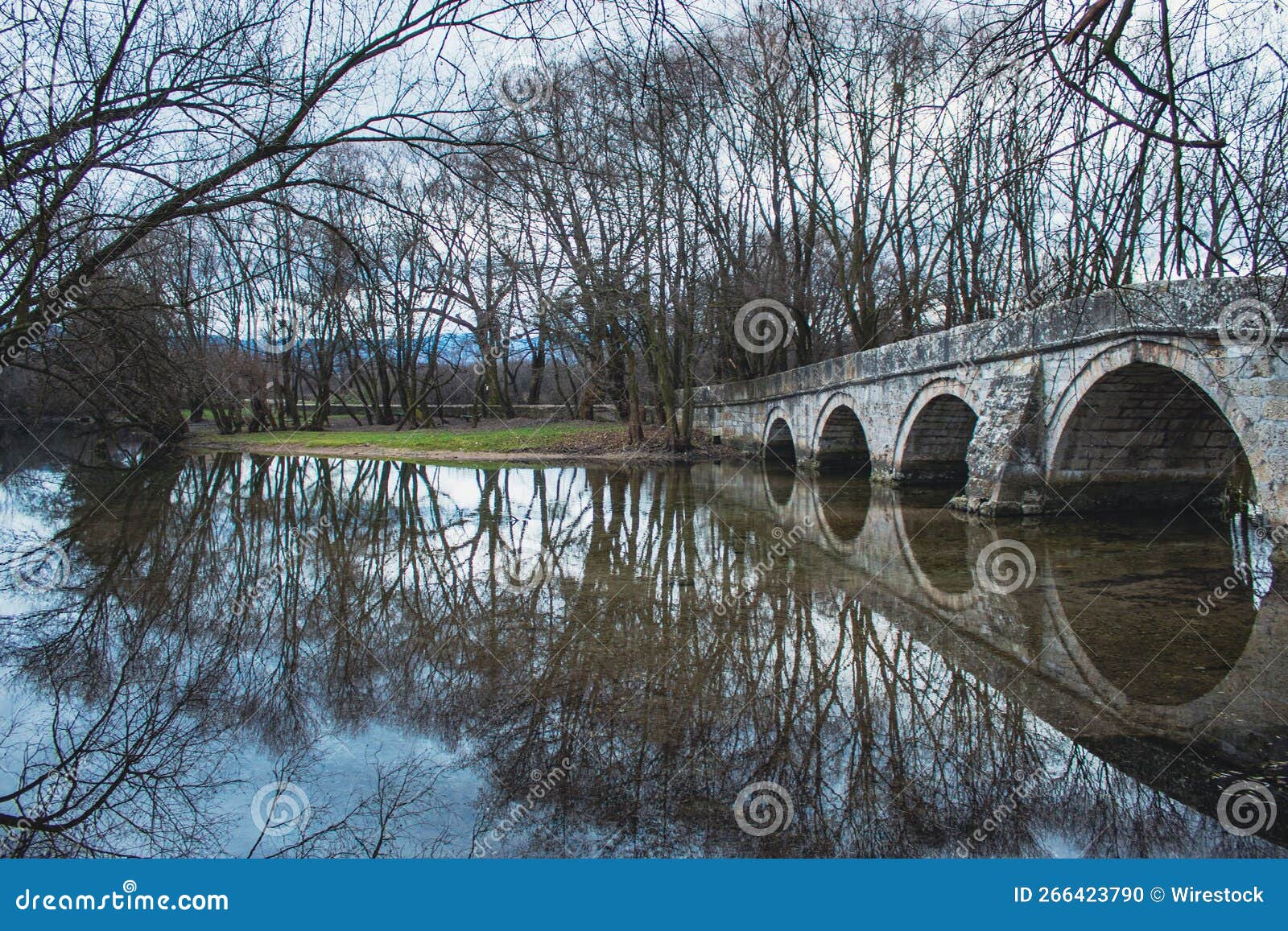 Arch-like Bridge and Deciduous Trees Reflected in the Water Stock Photo ...