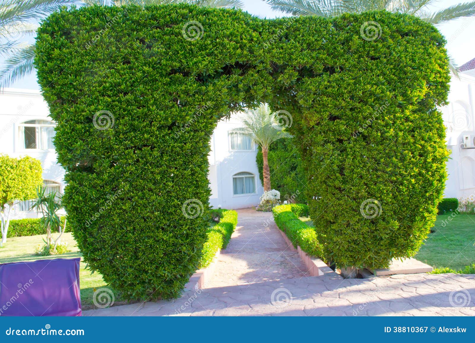 Arch stock image. Image of africa, bushes, blue, beauty - 38810367