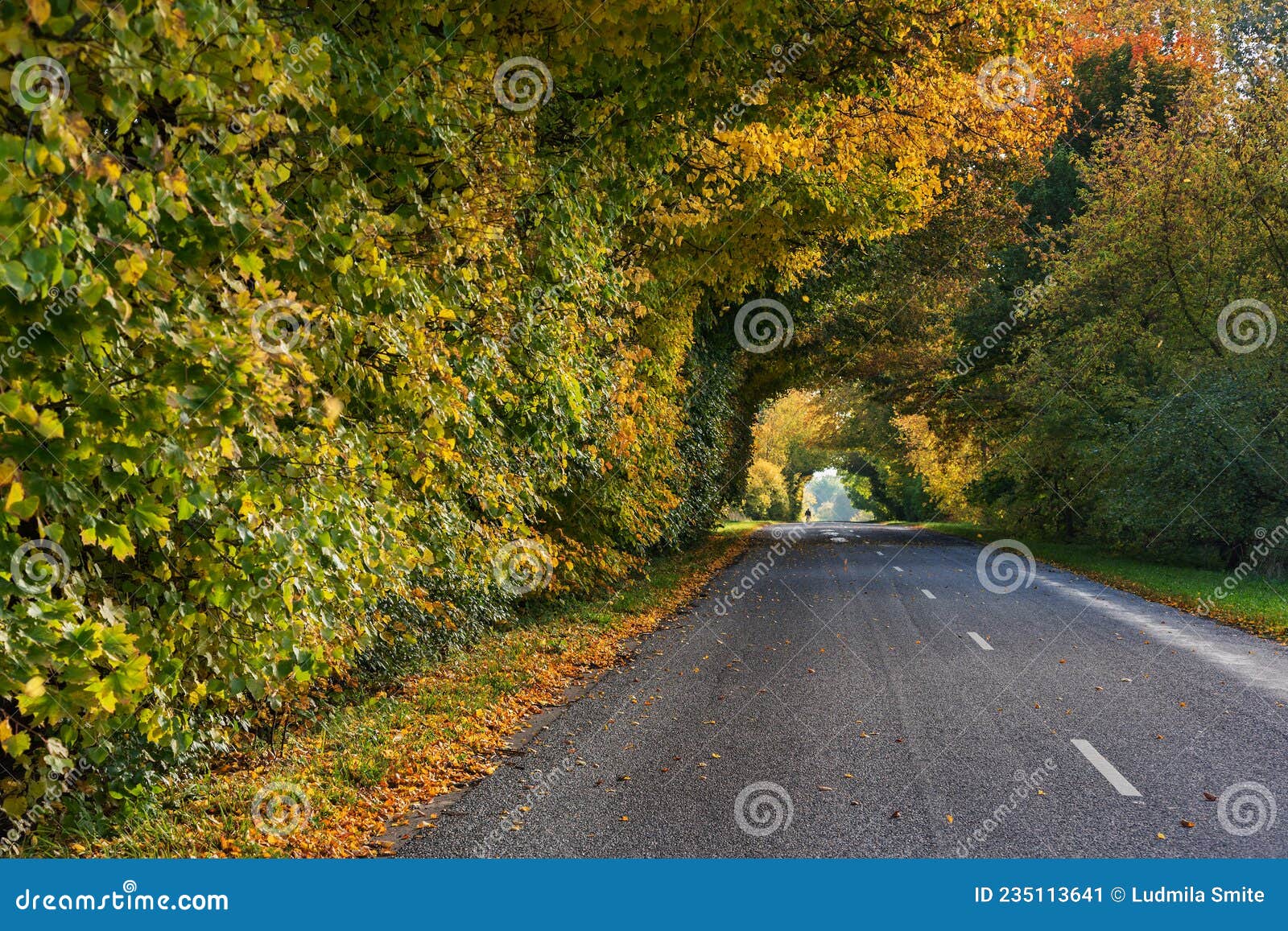 Arch over the road stock image. Image of magical, landscape - 235113641