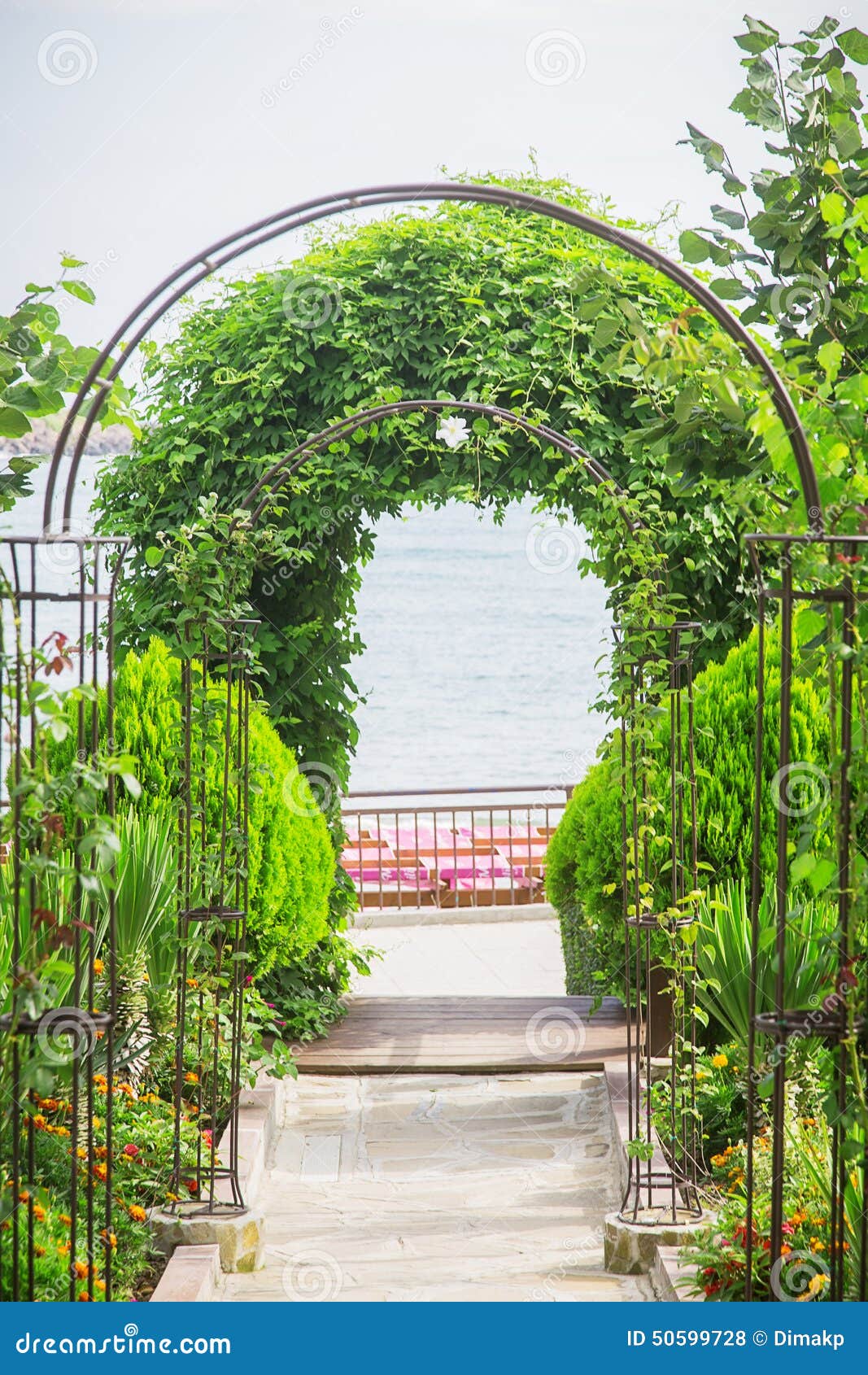 Arch plants stock photo. Image of color, lattice, landscaping - 50599728