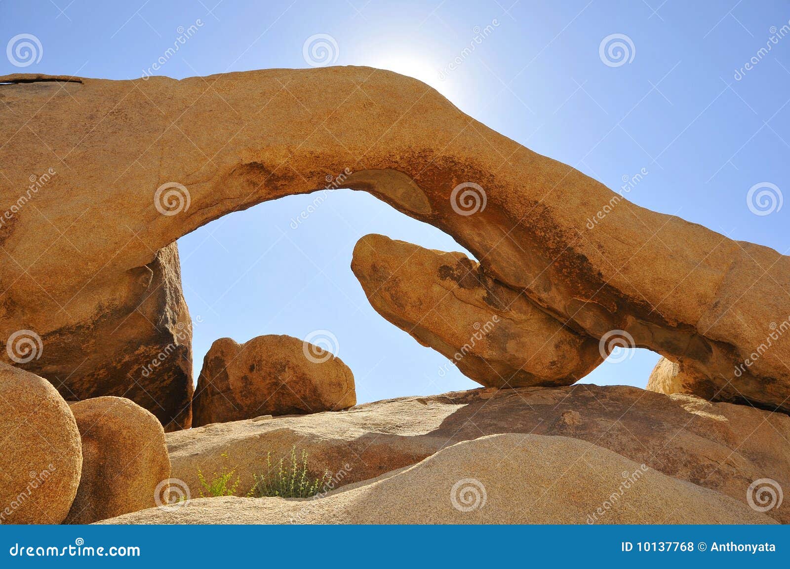 Arch Rock at National Park stock photo. Image of colourful - 10137768