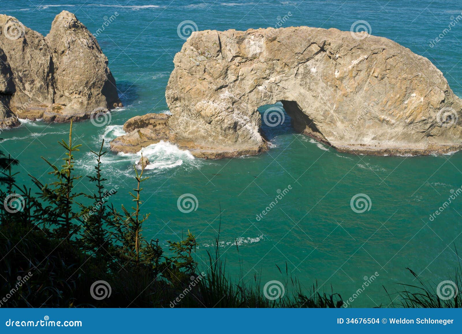 Arch rock, Oregon coast stock photo. Image of tree, coastline - 34676504