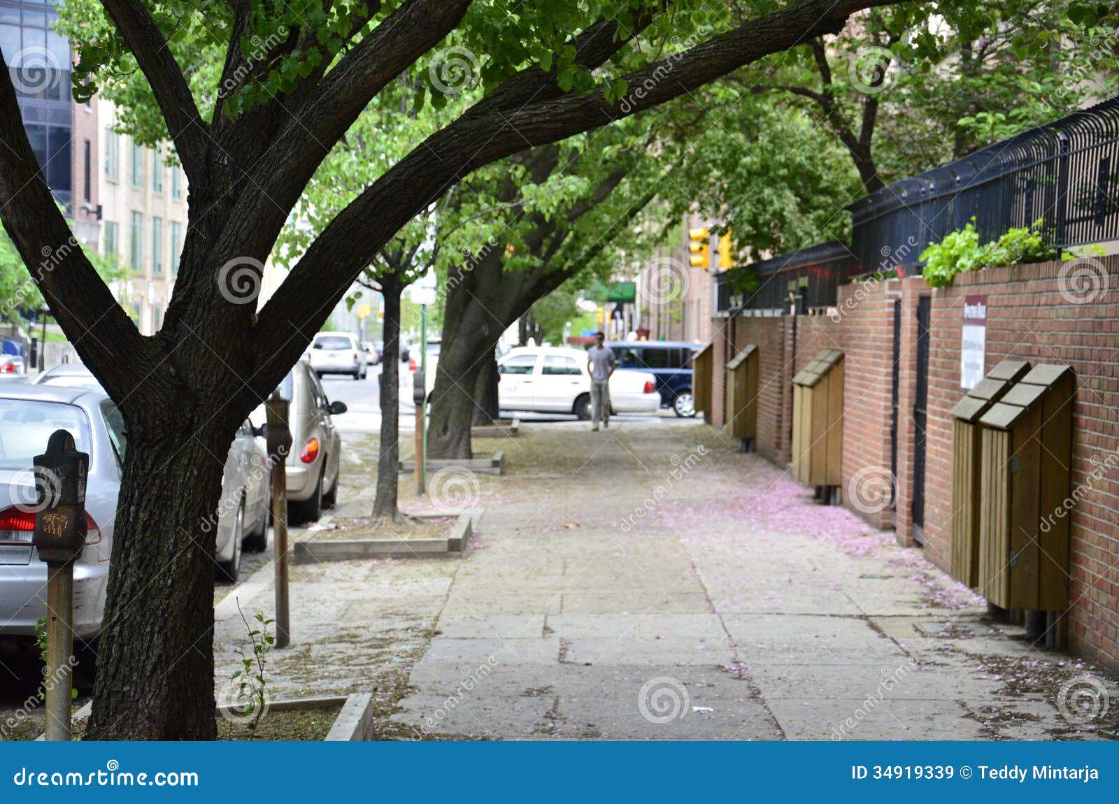 Arch Street Sidewalk stock image. Image of sidewalk, leaves - 34919339