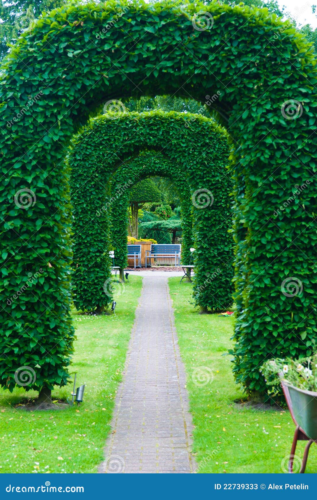 118 Archway Topiary Photos - Free & Royalty-Free Stock Photos from ...