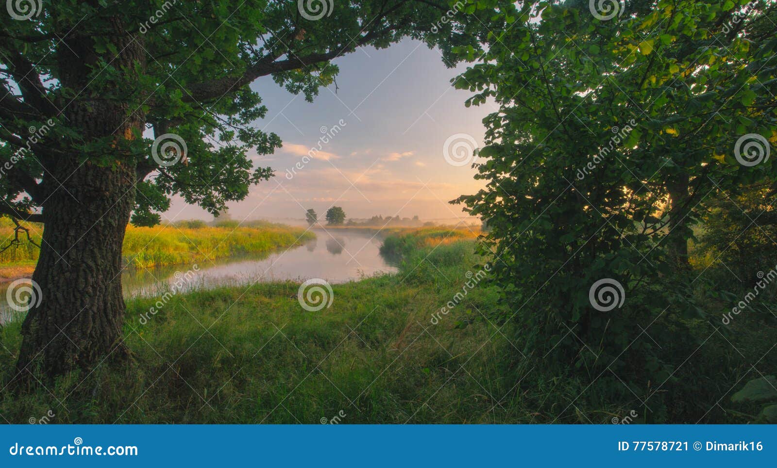 Arch from tree stock image. Image of landscape, framed - 77578721