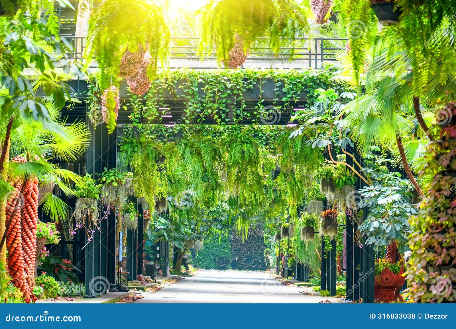 Arch Tunnel and Bridge and Tropical Plants Stock Photo - Image of green ...