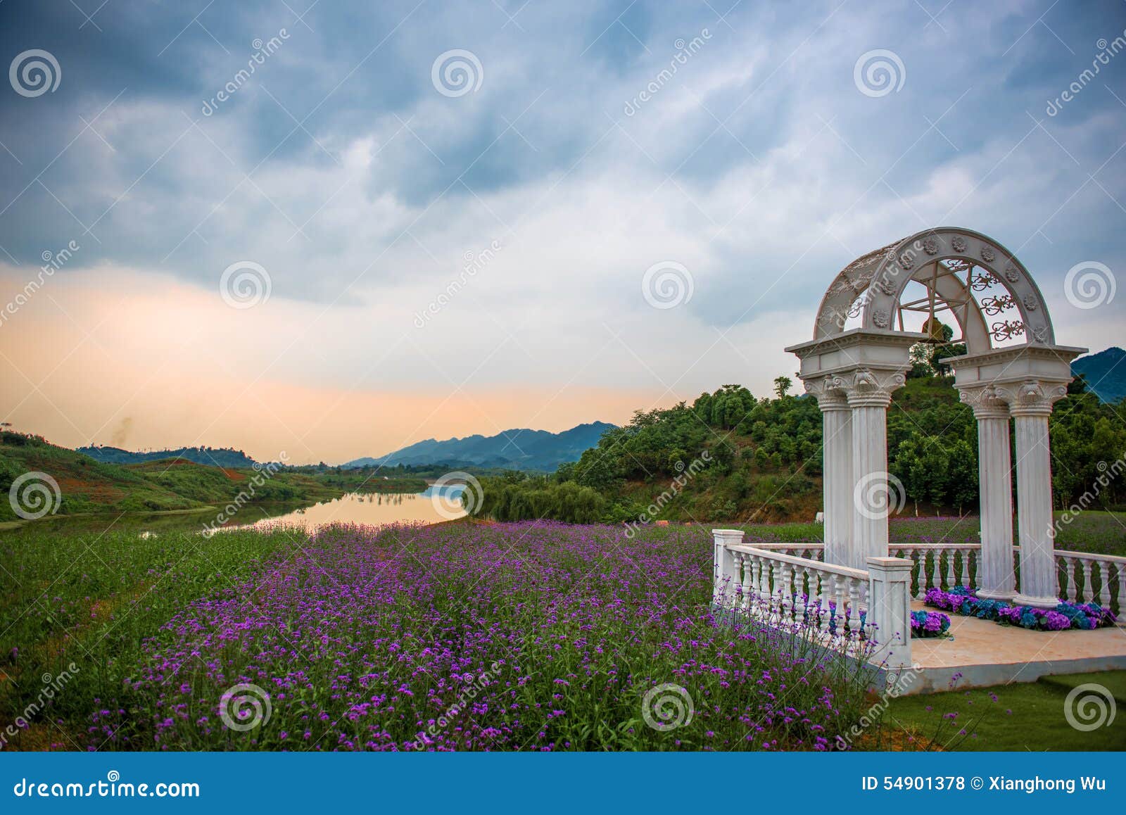 Arch for Wedding in Lavender Fields Stock Photo - Image of collage ...
