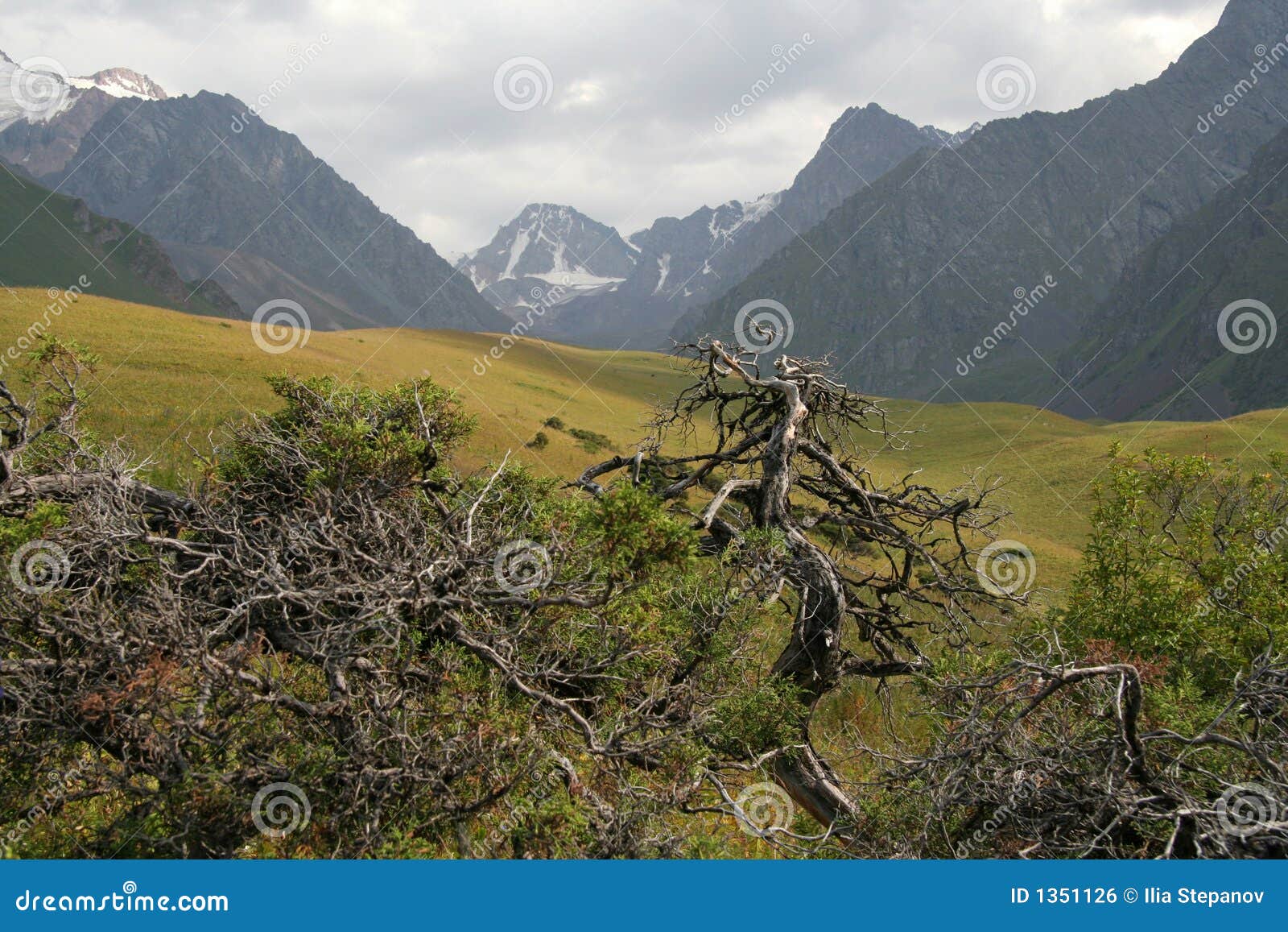 Archa stock photo. Image of bush, tourism, beautiful, rocky - 1351126