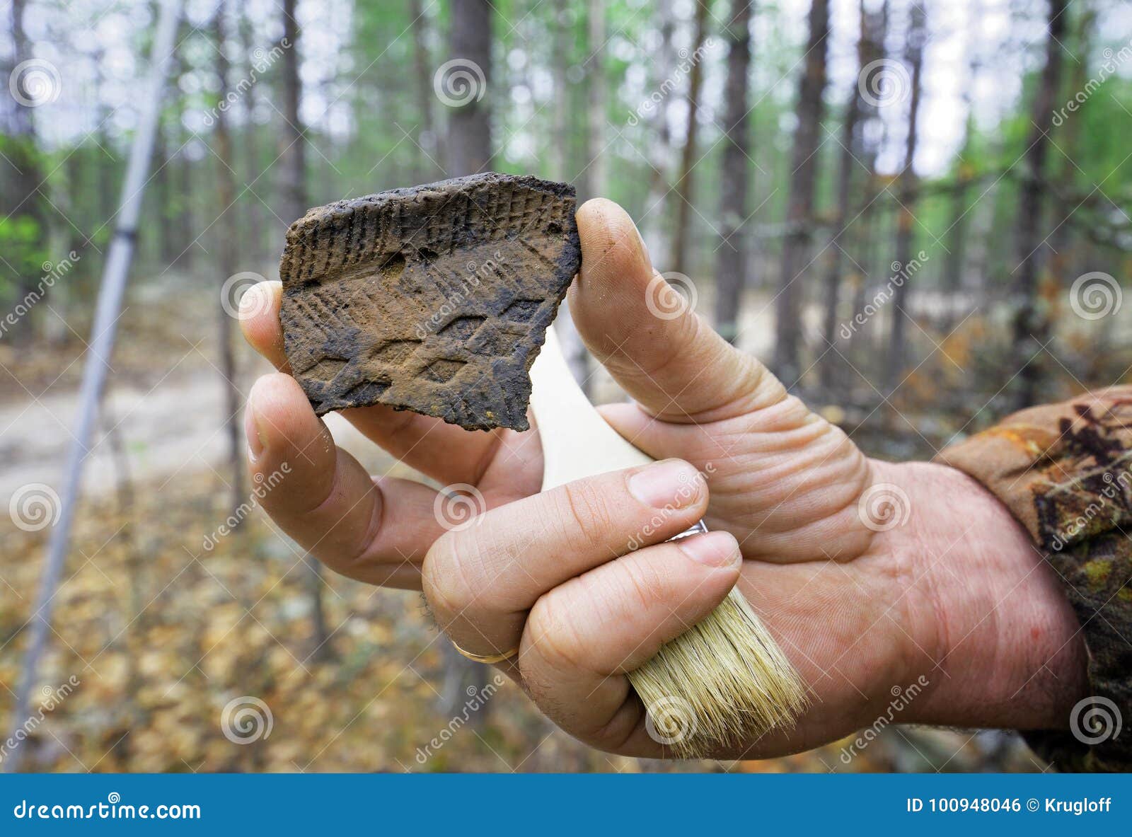 Archaeological Finding during the Field Expedition Stock Photo - Image ...