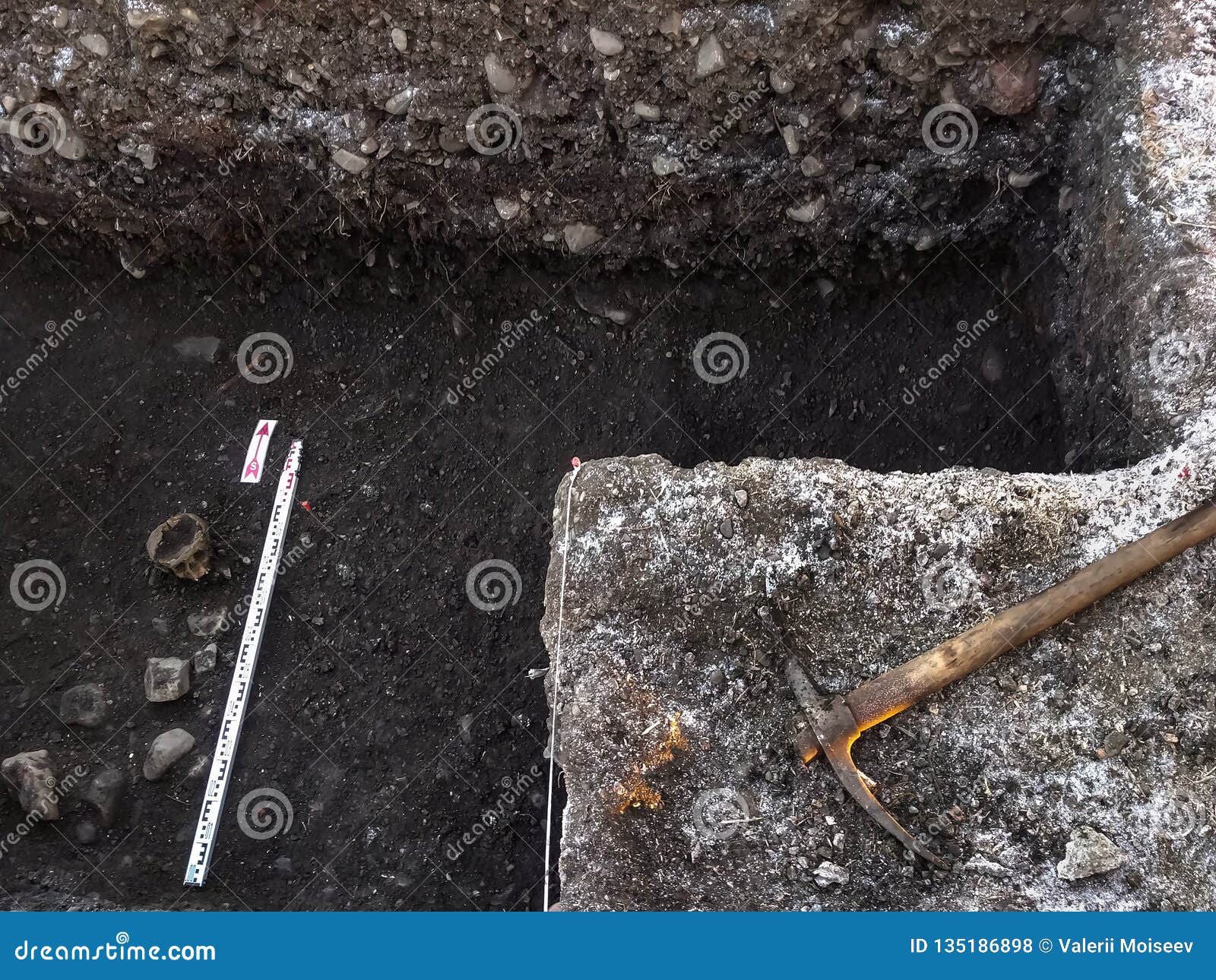 Archaeological Excavation with Skull Still Half Buried in the Ground ...