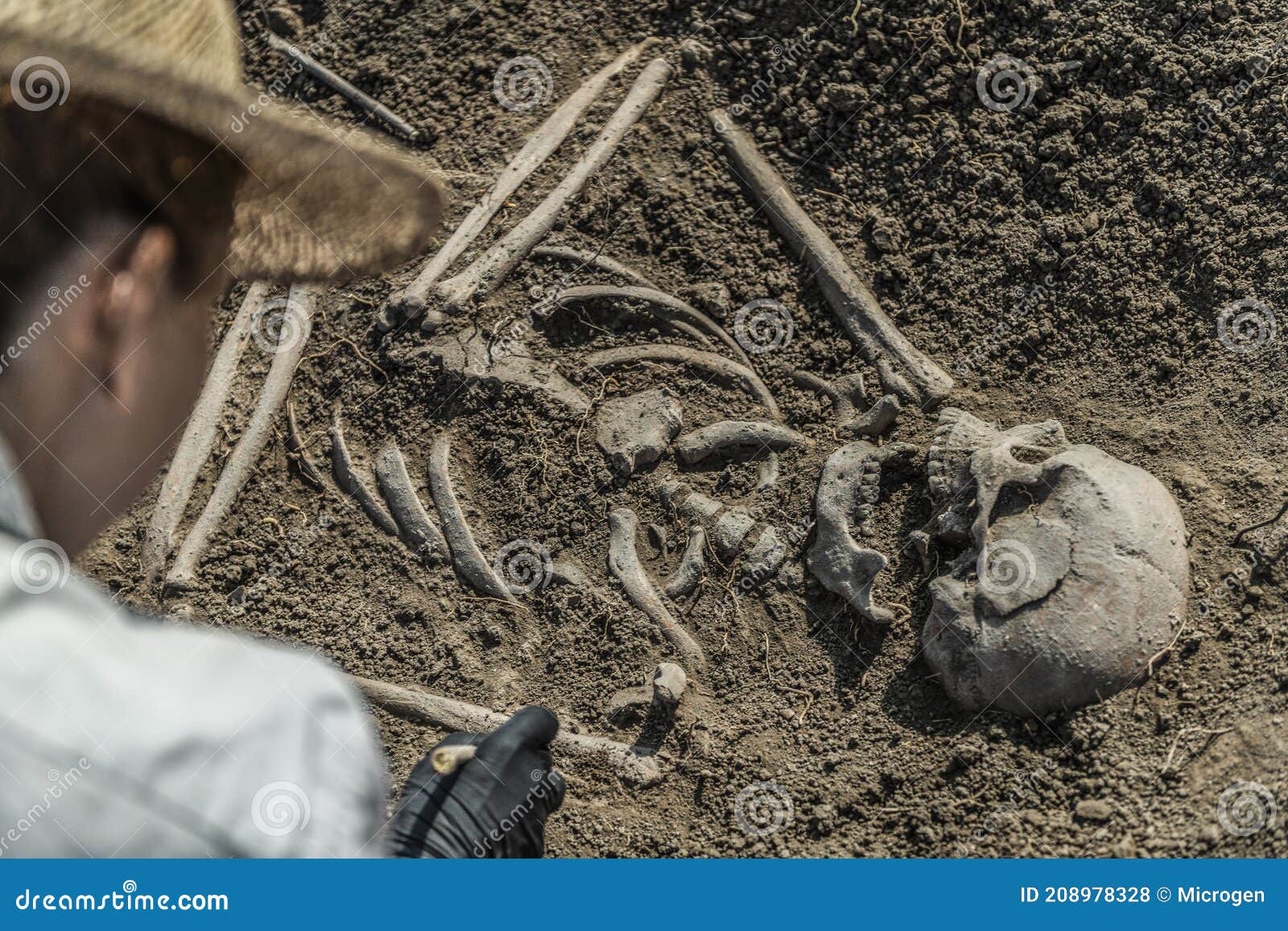 Archaeological Excavations - Ancient Human Skeleton Stock Photo - Image ...
