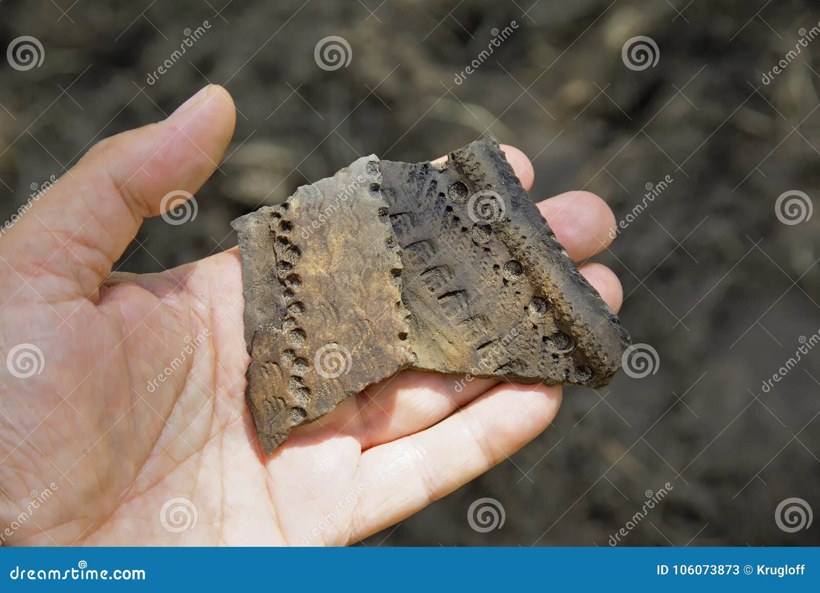 An Archaeological Find. Ancient Prehistoric Fossils. The First Living ...