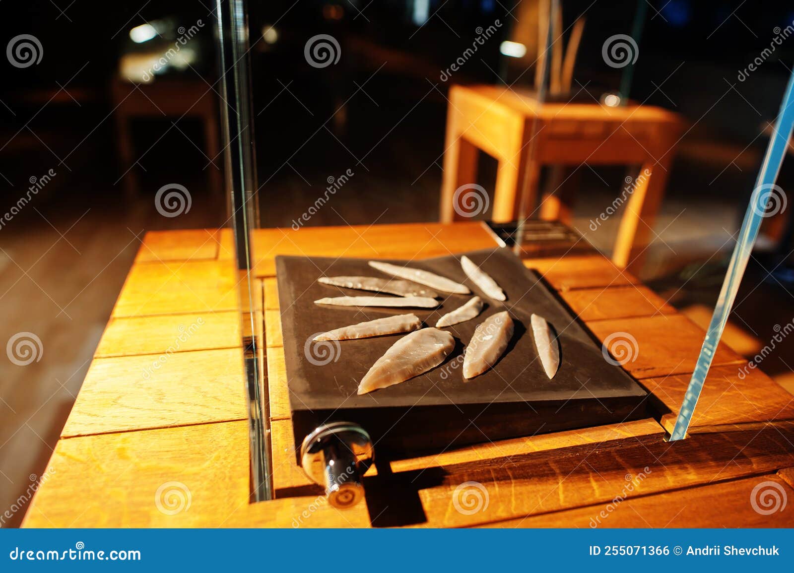 Archaeological Items Put on Display Inside Museum Editorial Photo ...