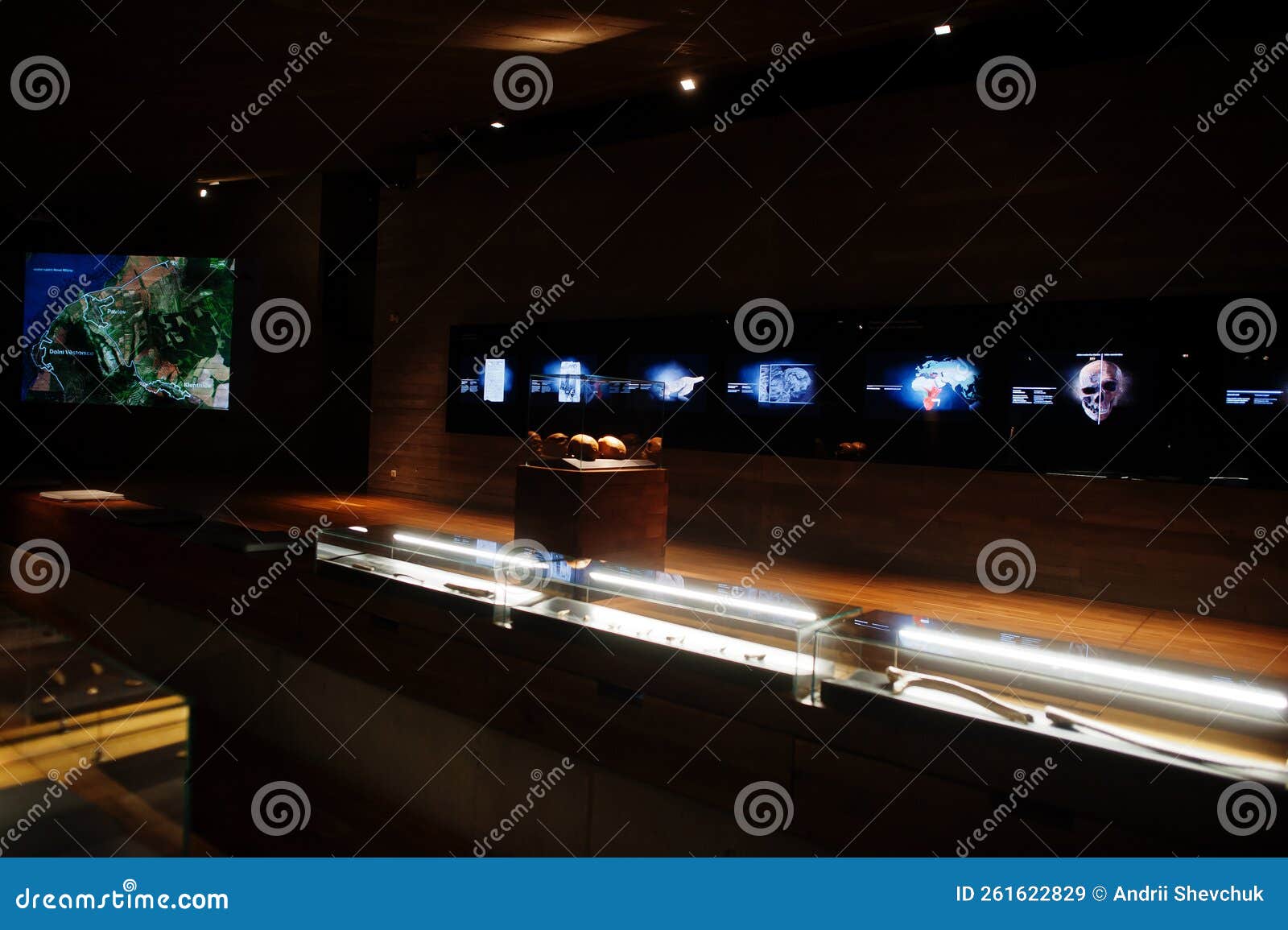 Archaeological Items Put on Display Inside Museum Editorial Stock Image ...