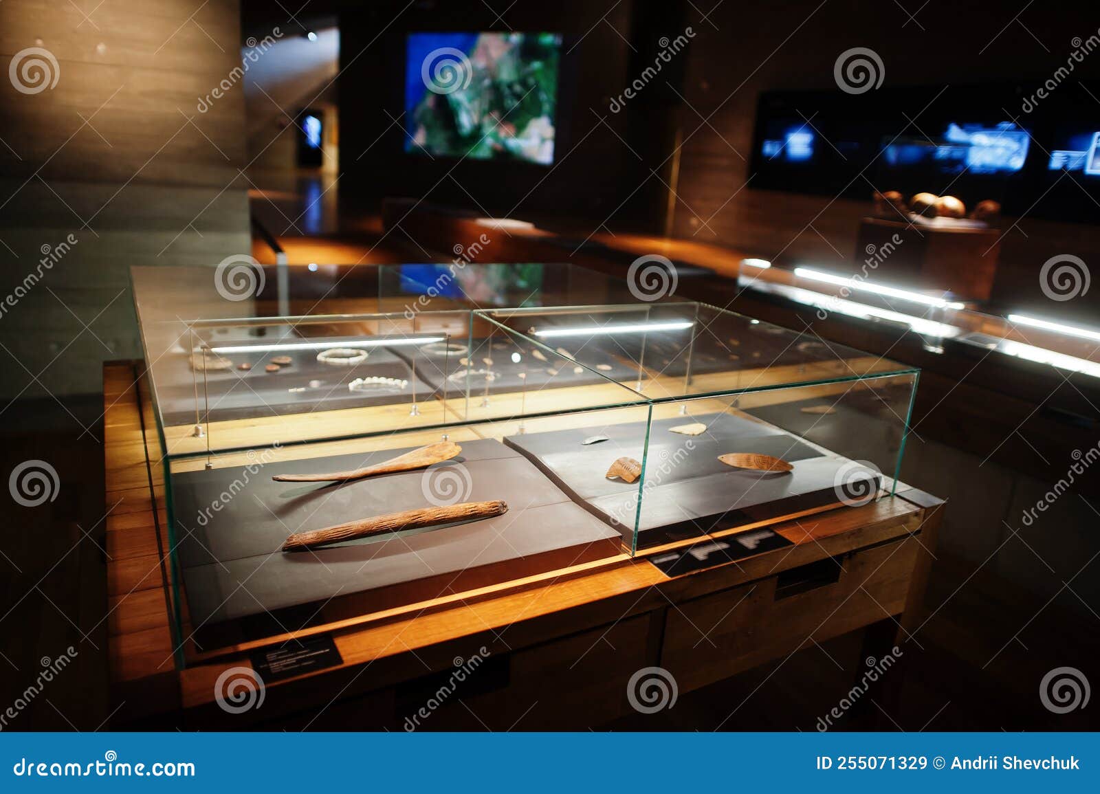 Archaeological Items Put on Display Inside Museum Editorial Stock Image ...