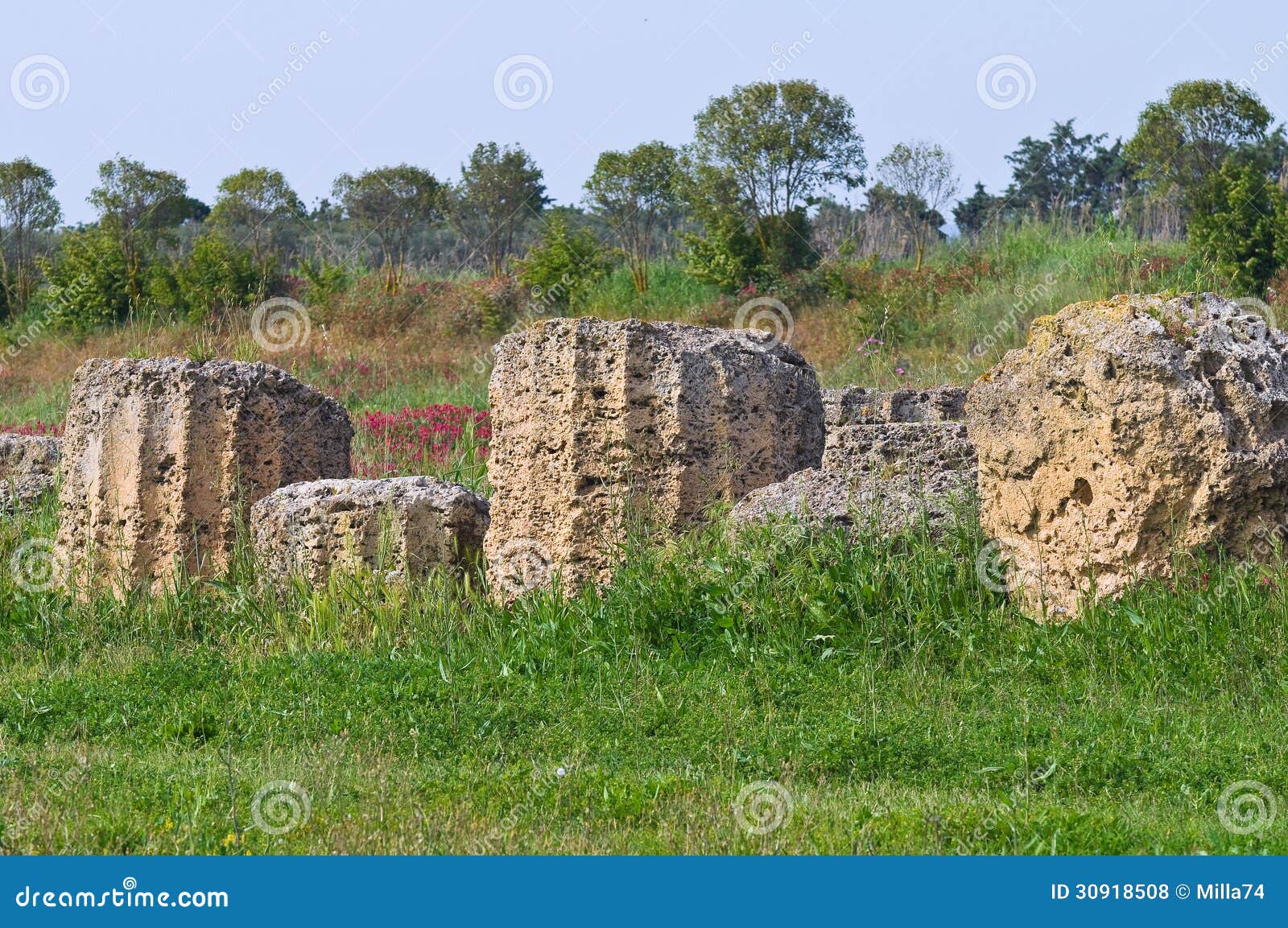 Archaeological Park. Metaponto. Basilicata. Italy. Stock Photo - Image ...