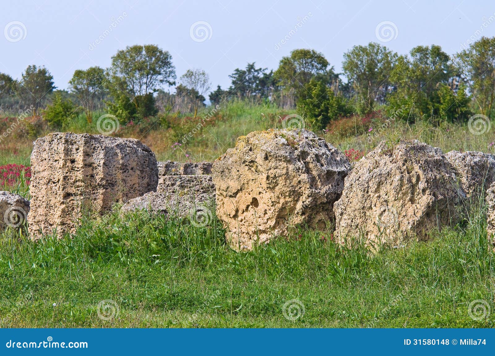 Archaeological Park. Metaponto. Basilicata. Italy. Stock Photo - Image ...