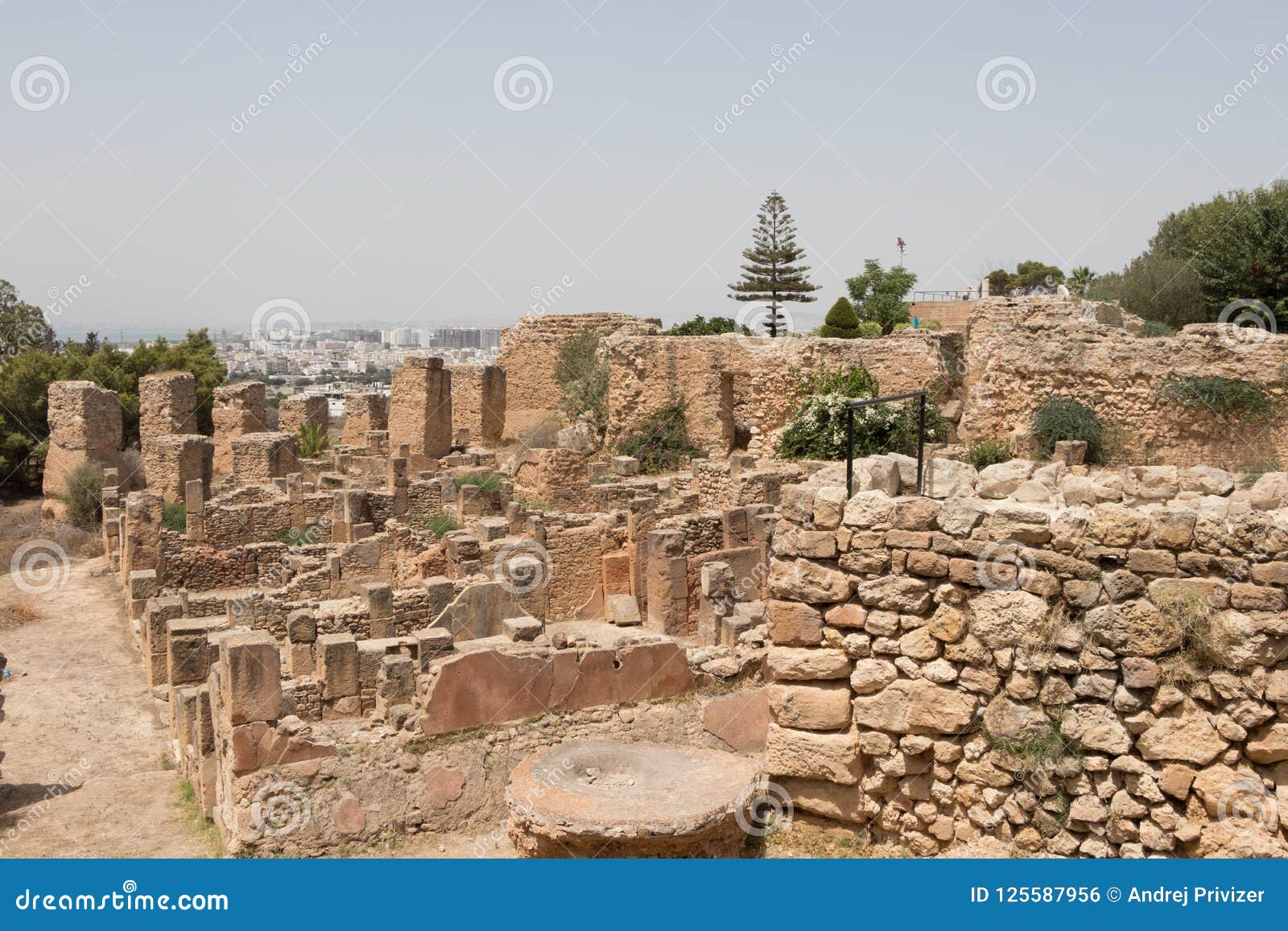 The Archaeological Site of Ancient Carthage, Tunisia, Africa Stock ...