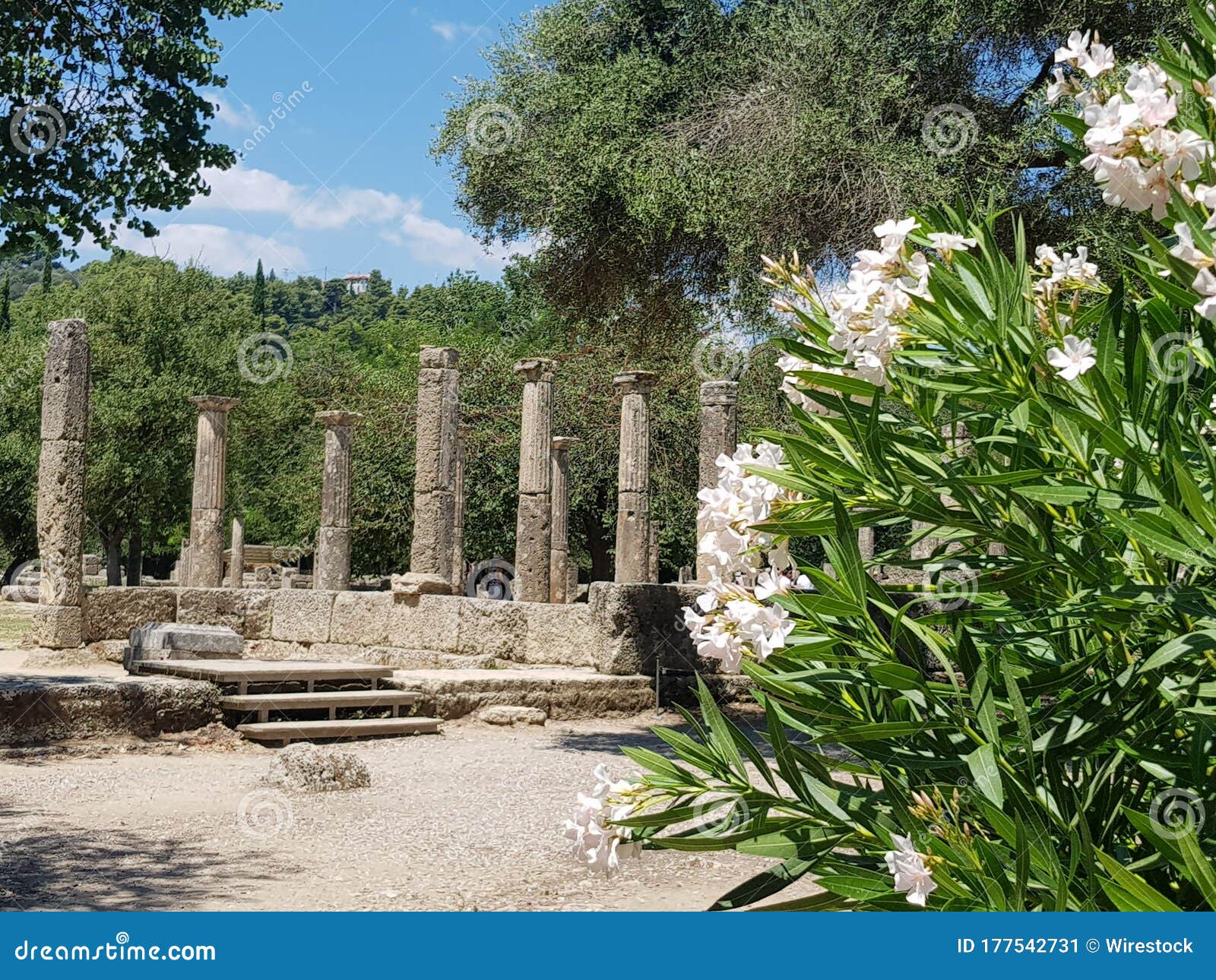 Archaeological Site of Olympia Surrounded by Greenery Under the ...