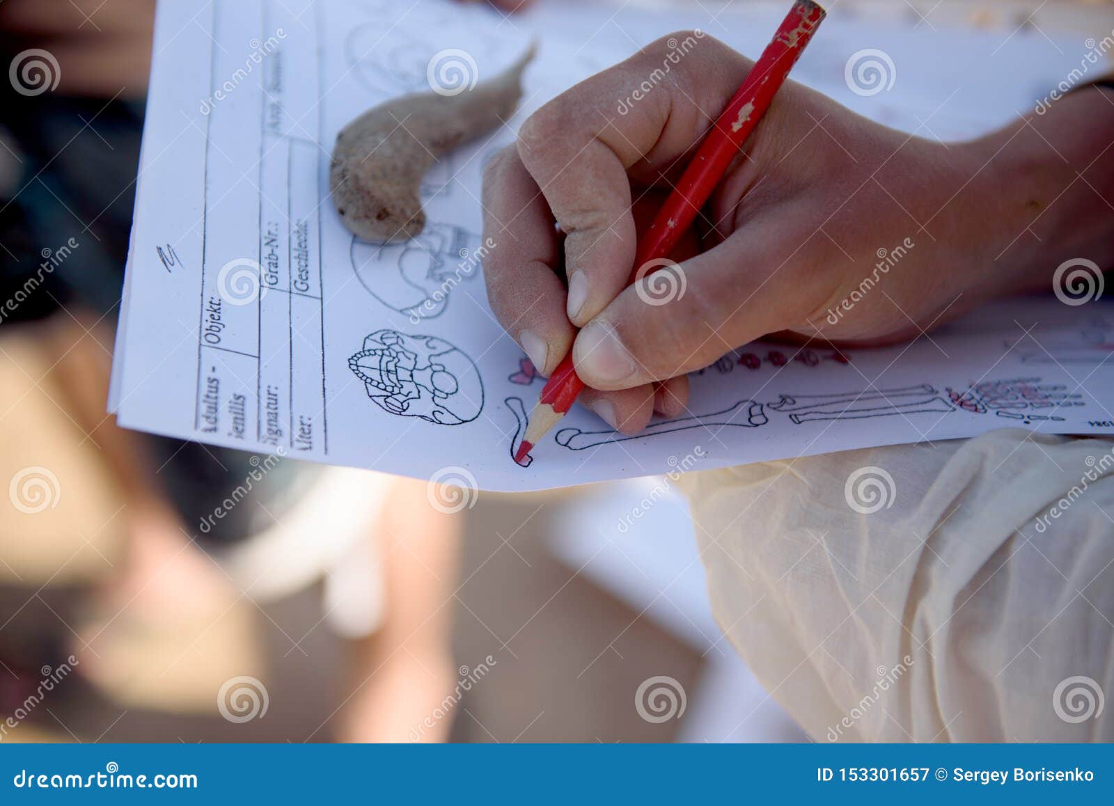 Archaeologist Documents Human Remains Stock Image - Image of culture ...