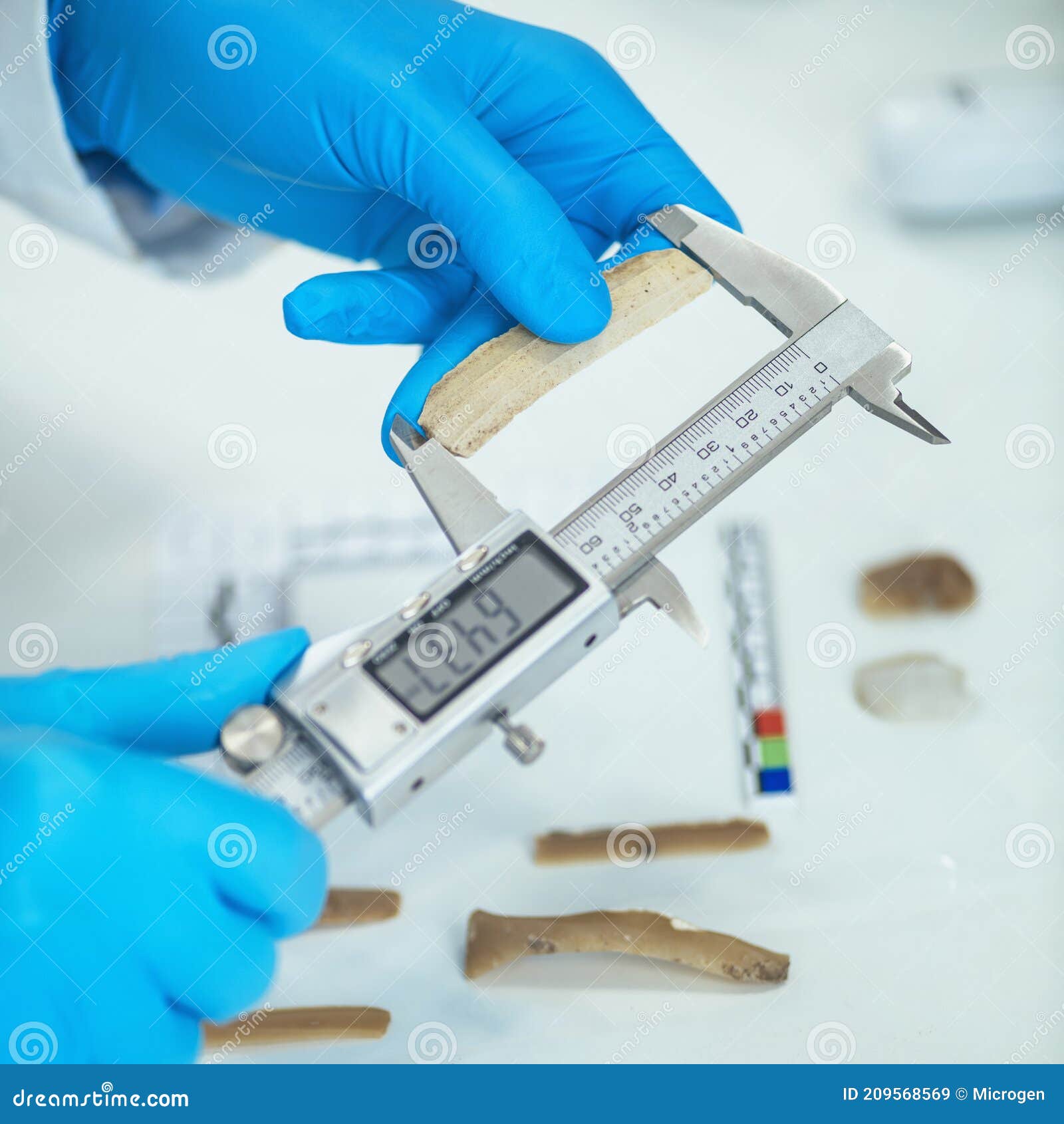 Archaeologist Measuring Lithics with Caliper in Laboratory Stock Image ...
