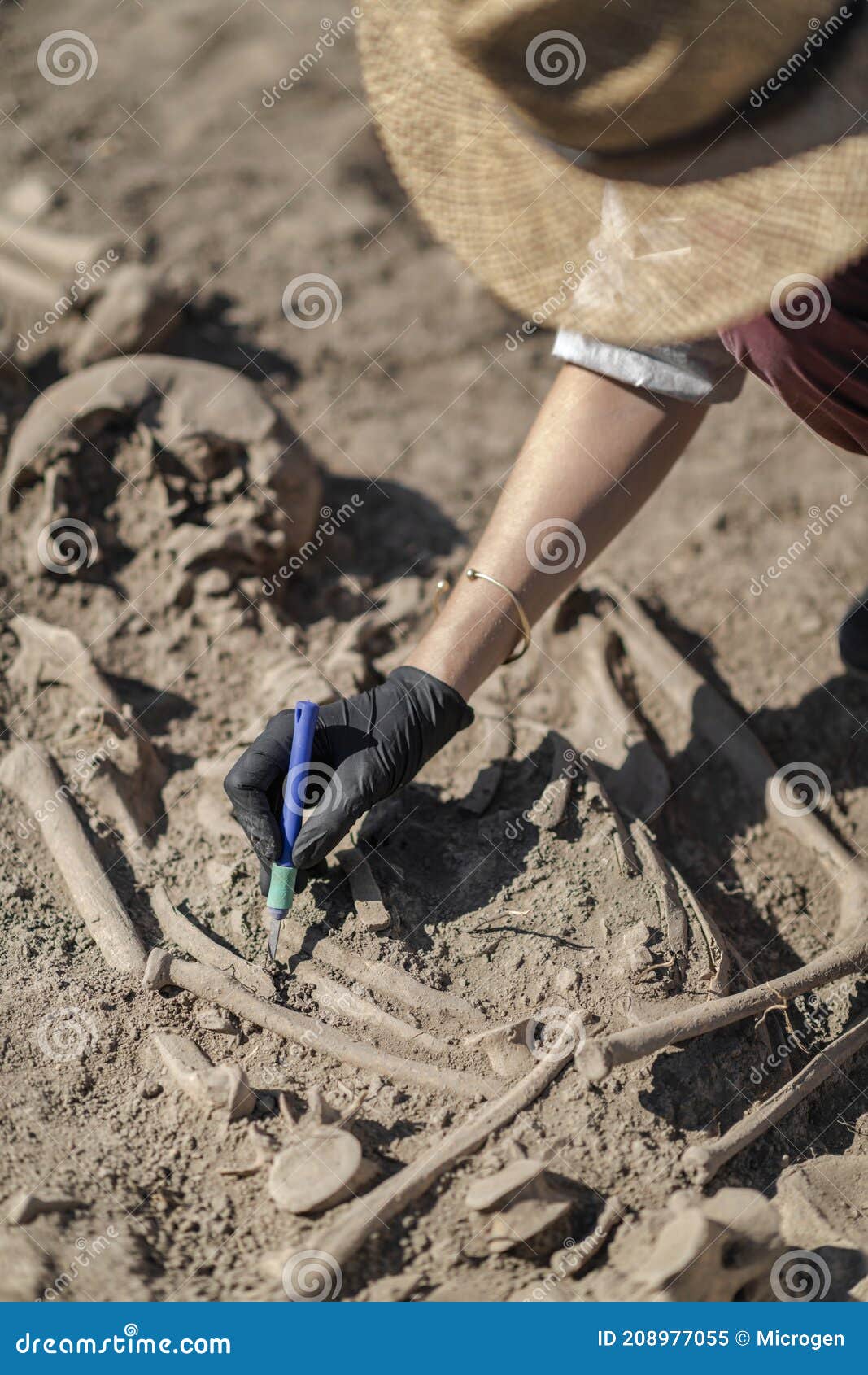 Archaeology â€“ Excavating Part of an Ancient Human Skeleton with ...