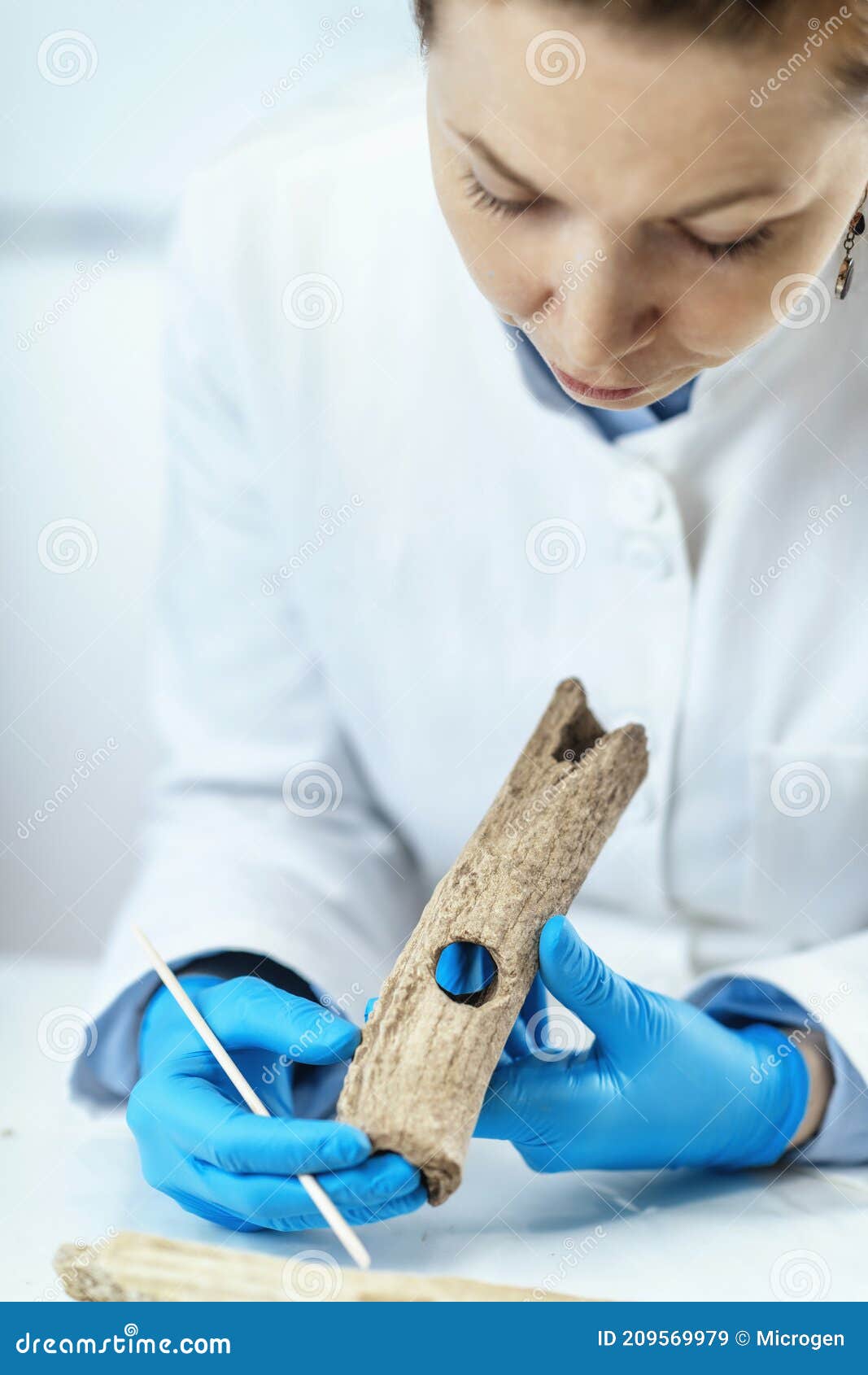 Archaeology Researcher Analyzing Prehistoric Axe Stock Image - Image of ...