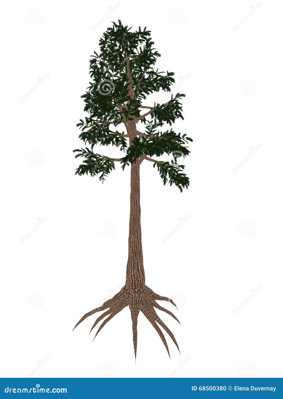 Archaeopteris Prehistoric Tree - 3D Render Stock Illustration ...