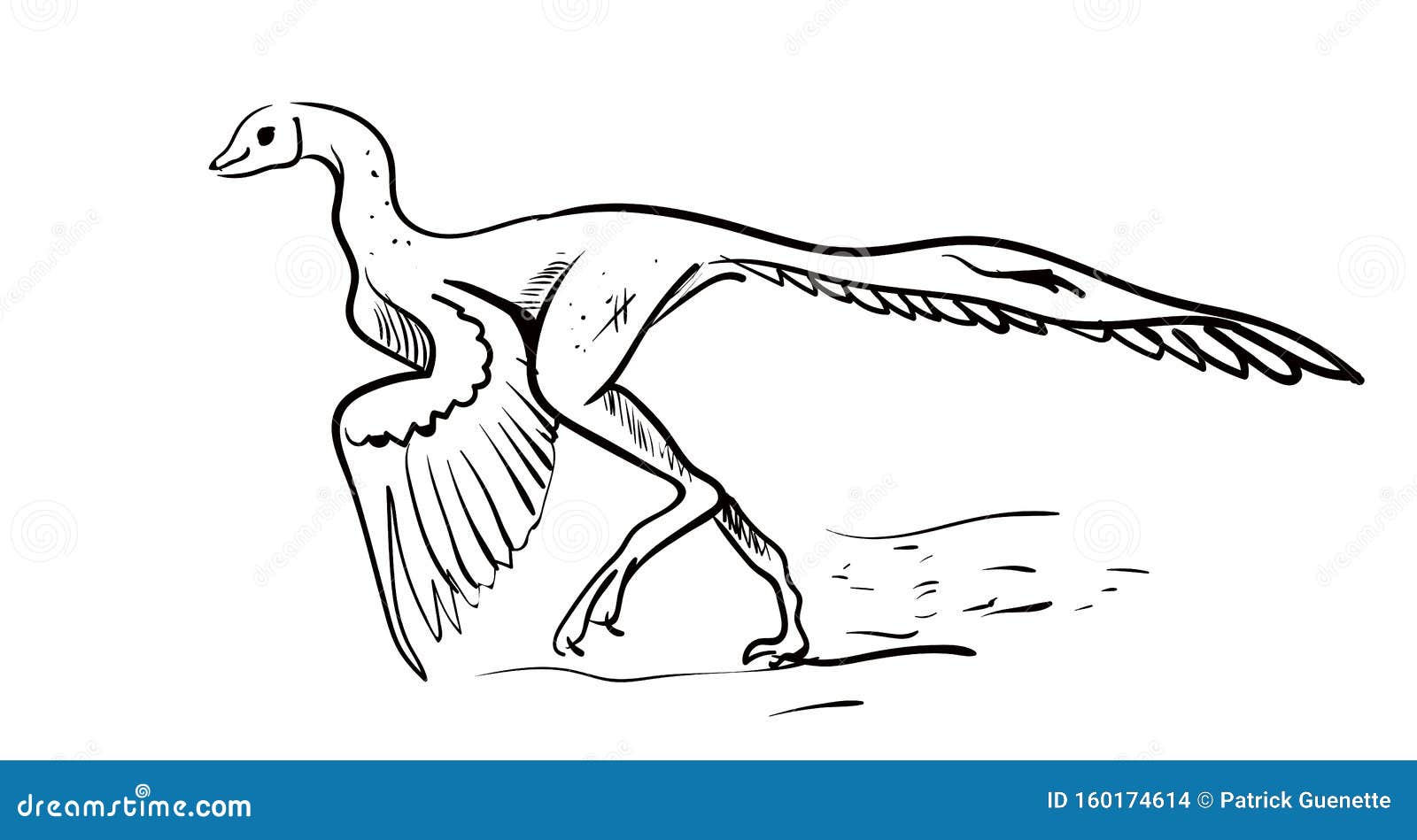 Archaeopteryx Drawing, Illustration, Vector Stock Vector - Illustration ...