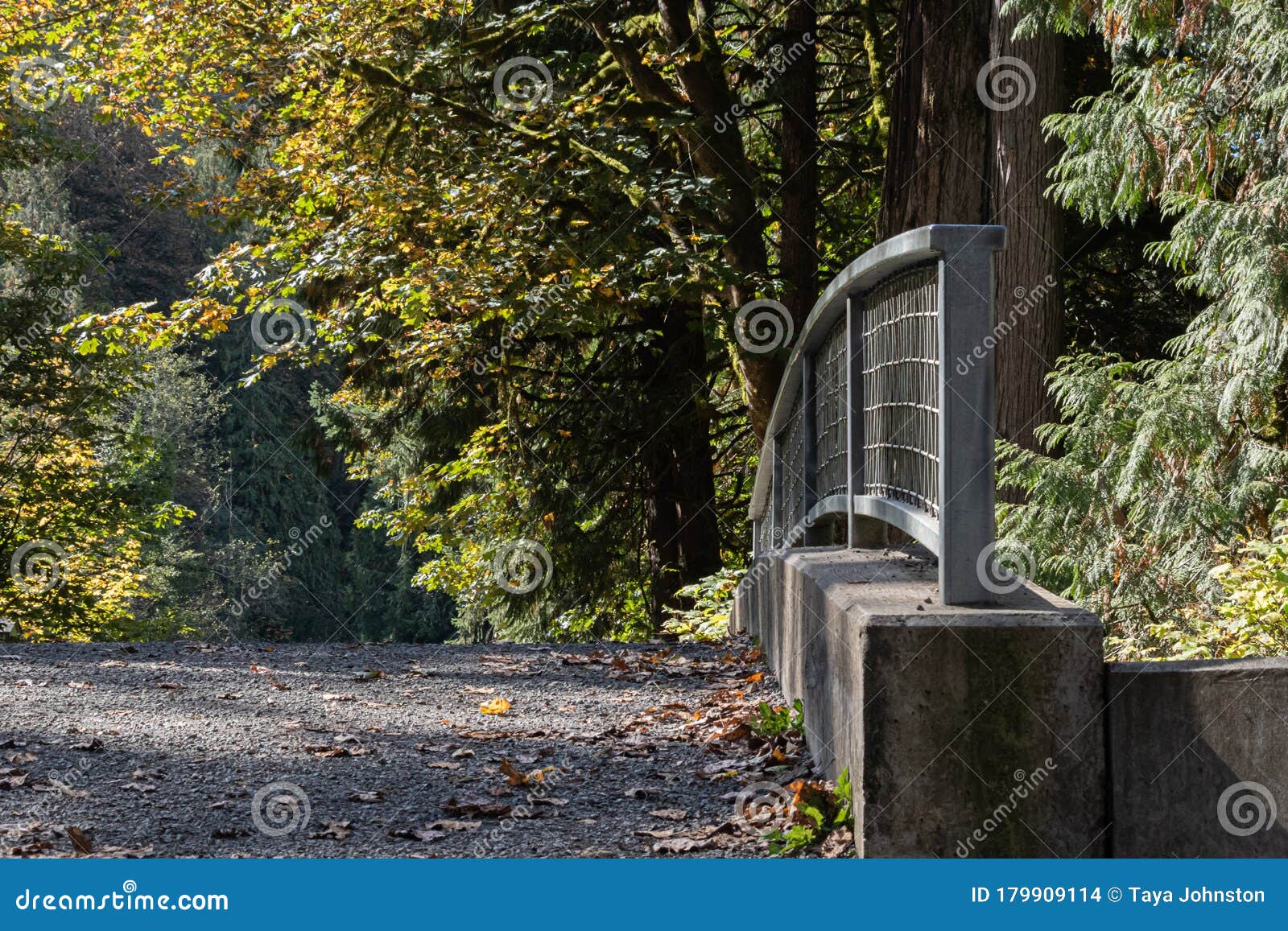 Arched Bridge Over a Stream in Late Autumn Stock Photo - Image of ...