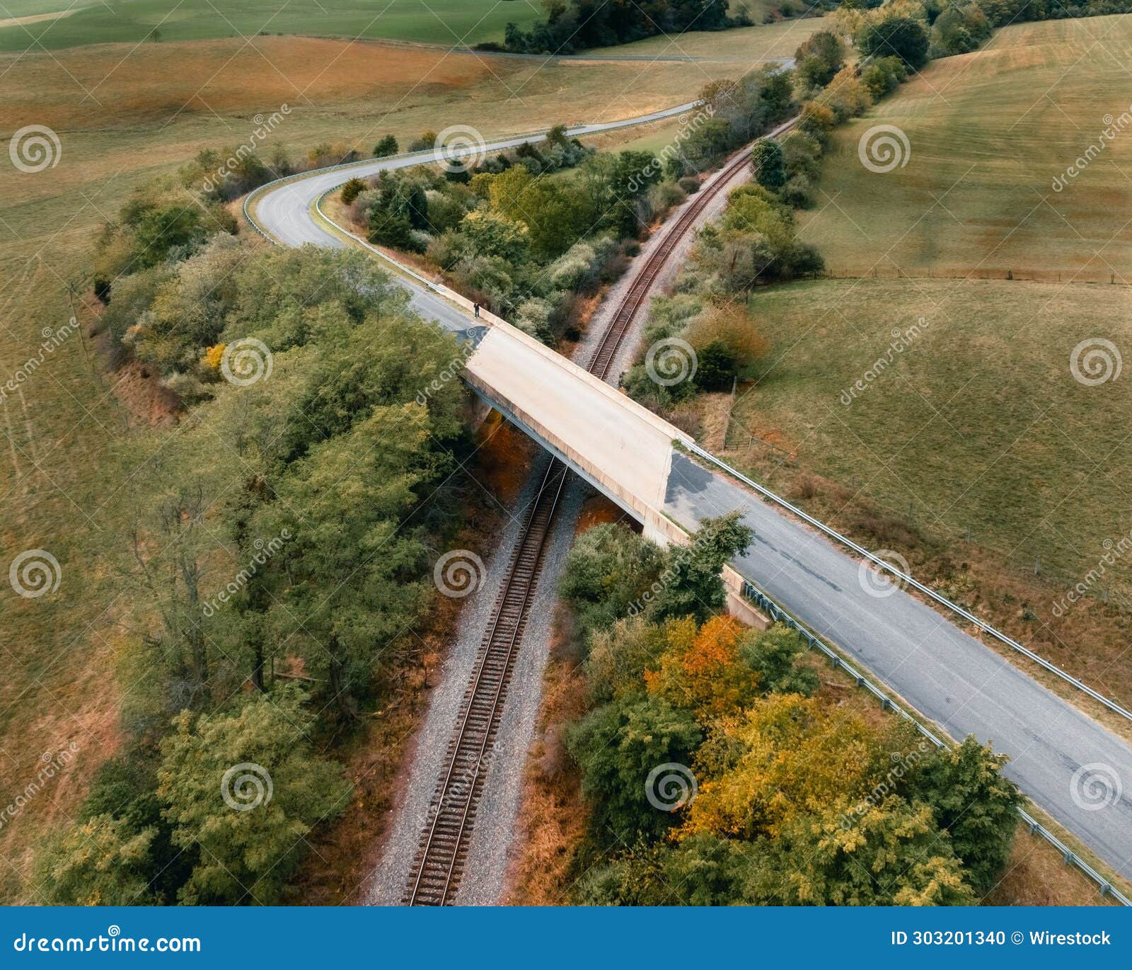 Arched Bridge Spanning an Expansive, Verdant Valley Dotted with Trees ...