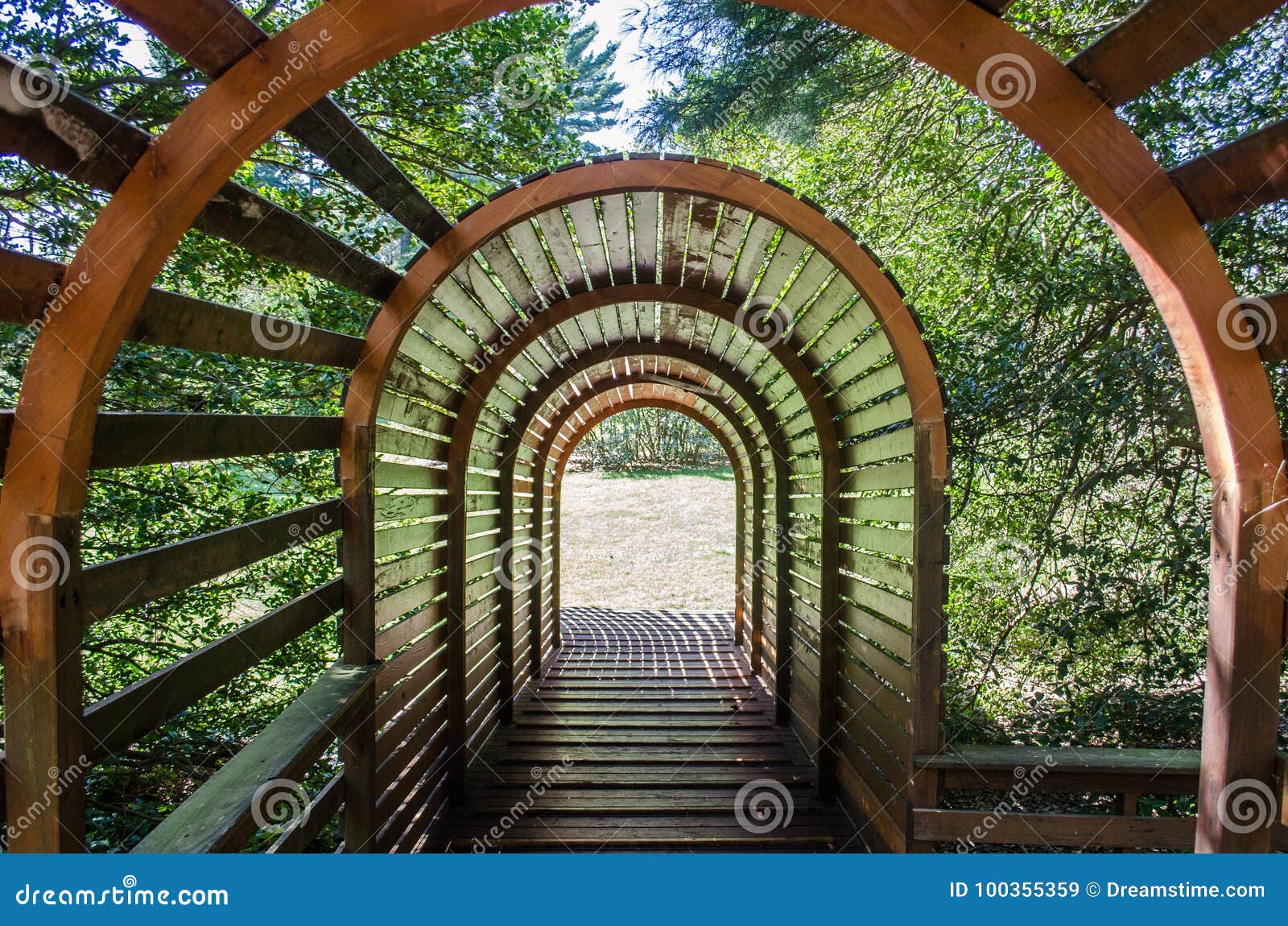 Arched Entryway stock image. Image of lines, trees, park - 100355359