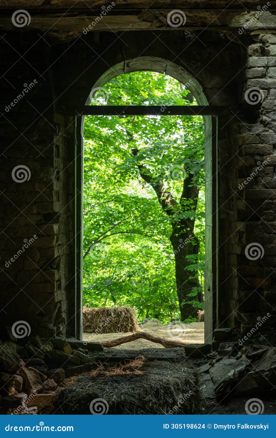 An Arched Exit from an Old Abandoned Building or Dungeon into the ...