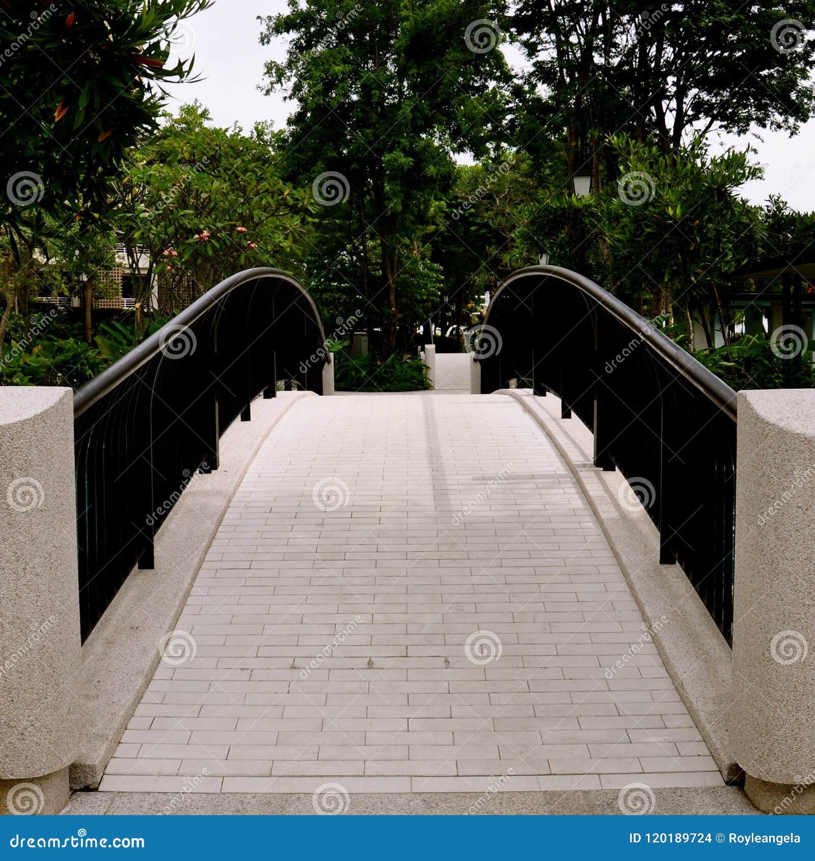 Arched Footbridge of White Marble Slabs Stock Photo - Image of white ...