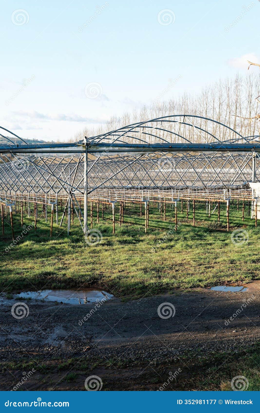 Arched Metal Structures in a Field Stock Image - Image of cultivation ...