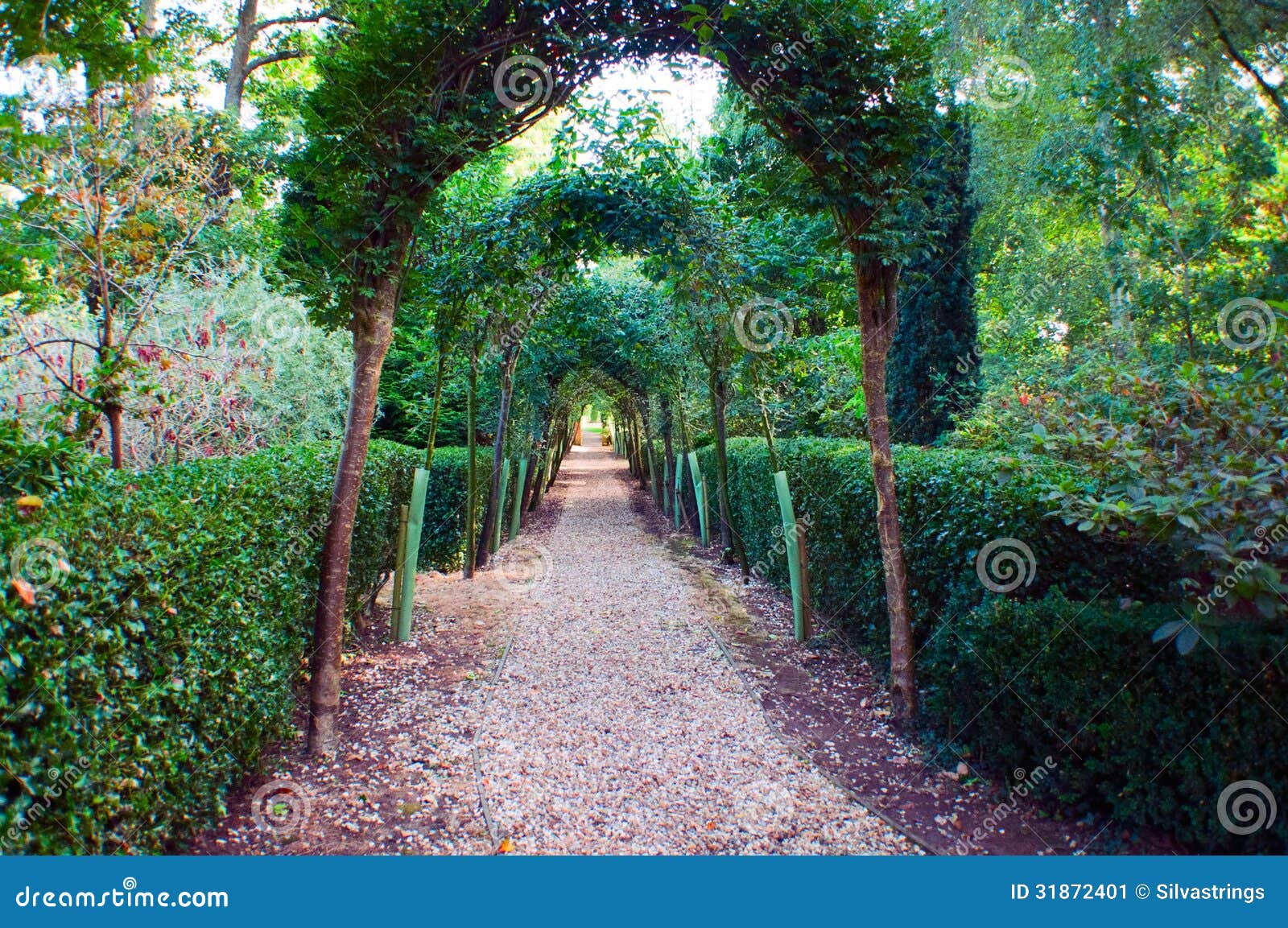 Arched pathway stock image. Image of shrubery, background - 31872401