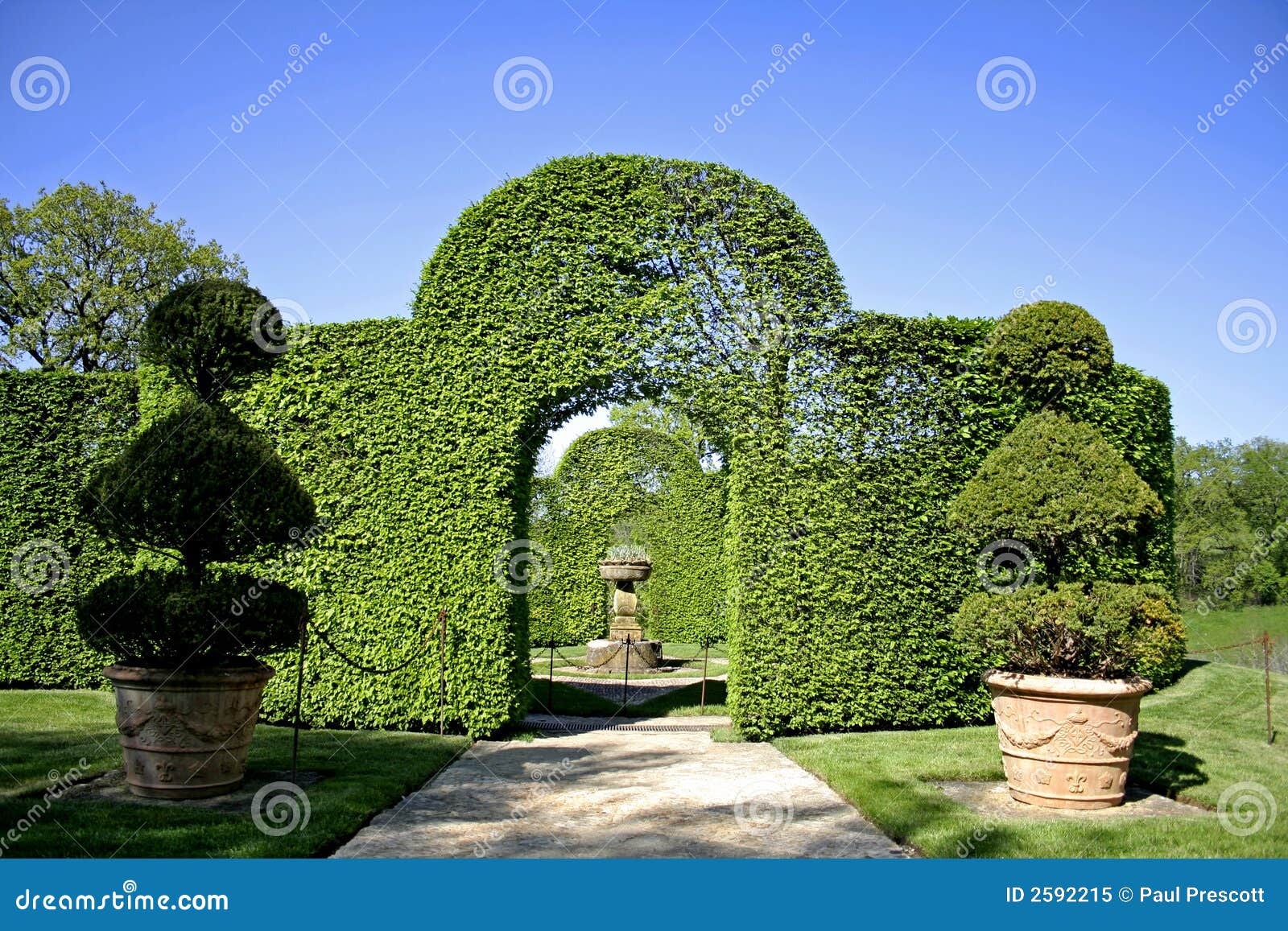 Arched schurbs in garden stock image. Image of lawn, botanical - 2592215