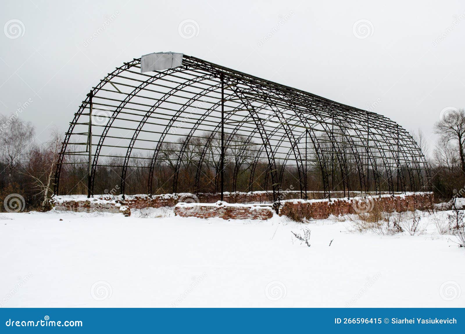 Arched Skeleton of the Structure Stock Image - Image of stadium ...