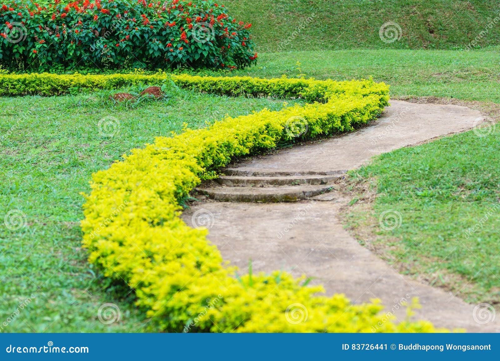 The Arched Walkway in the Garden. Stock Image - Image of leaf, lawn ...