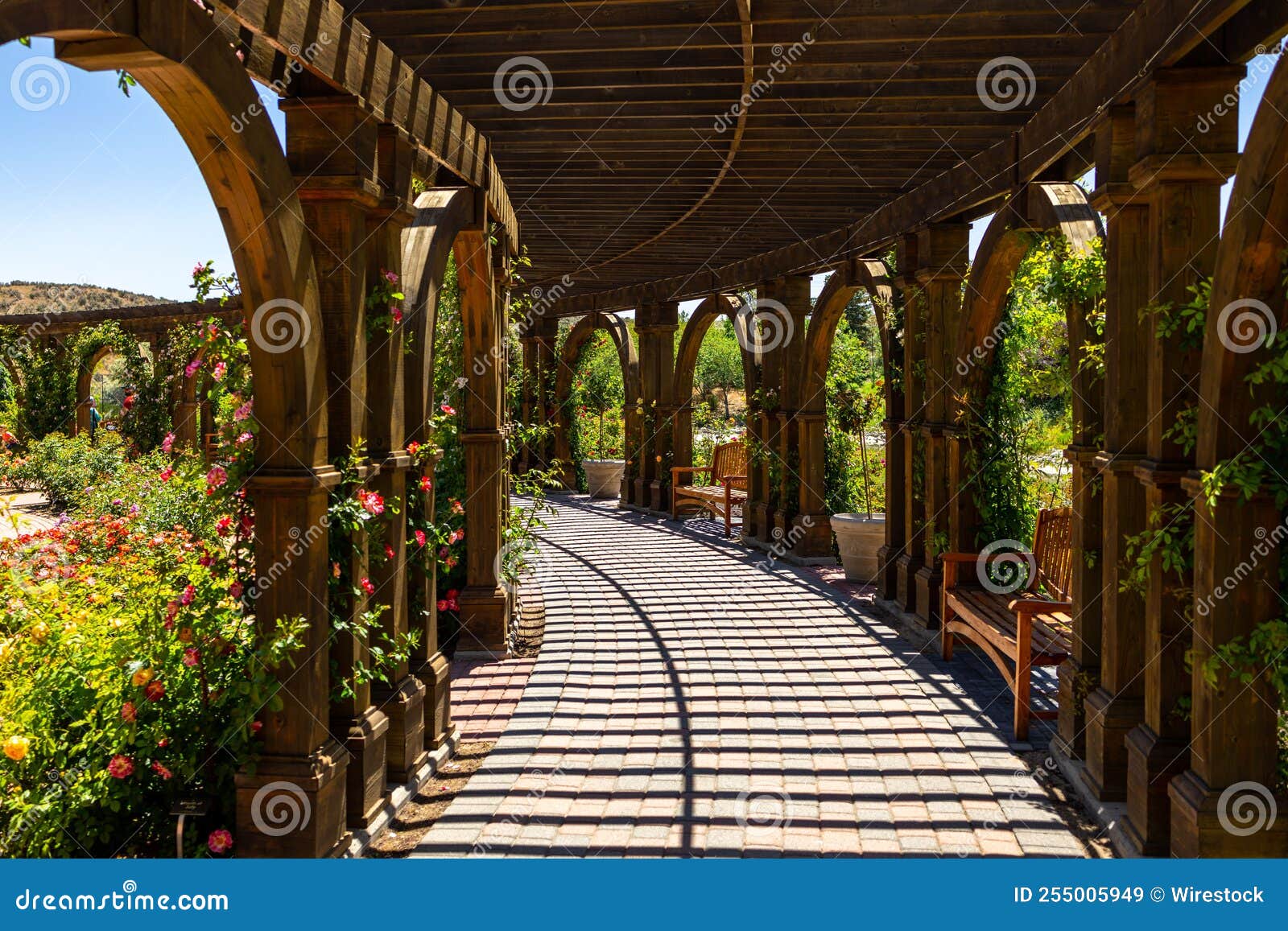 Arched Wall Way in a Rose Garden Stock Image - Image of summer ...