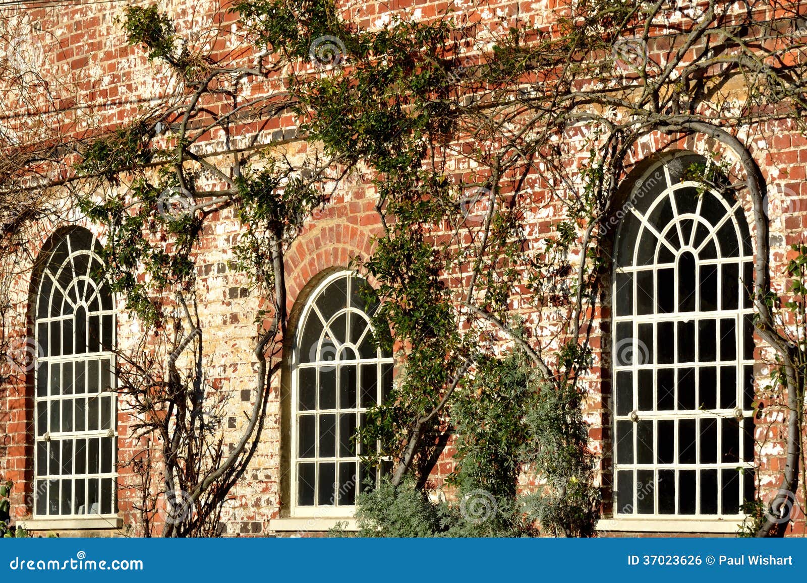 Arched white windows stock photo. Image of classic, glass - 37023626