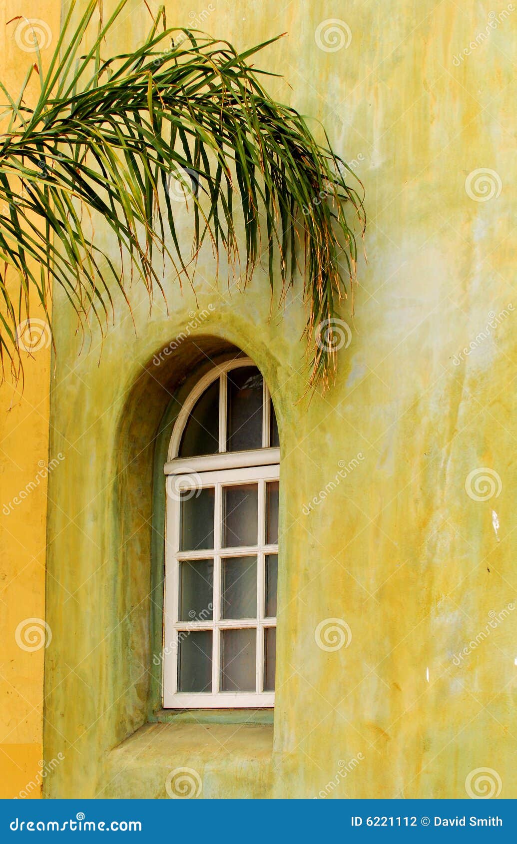 Arched Window with Palm Branch Stock Photo - Image of leaf, aged: 6221112