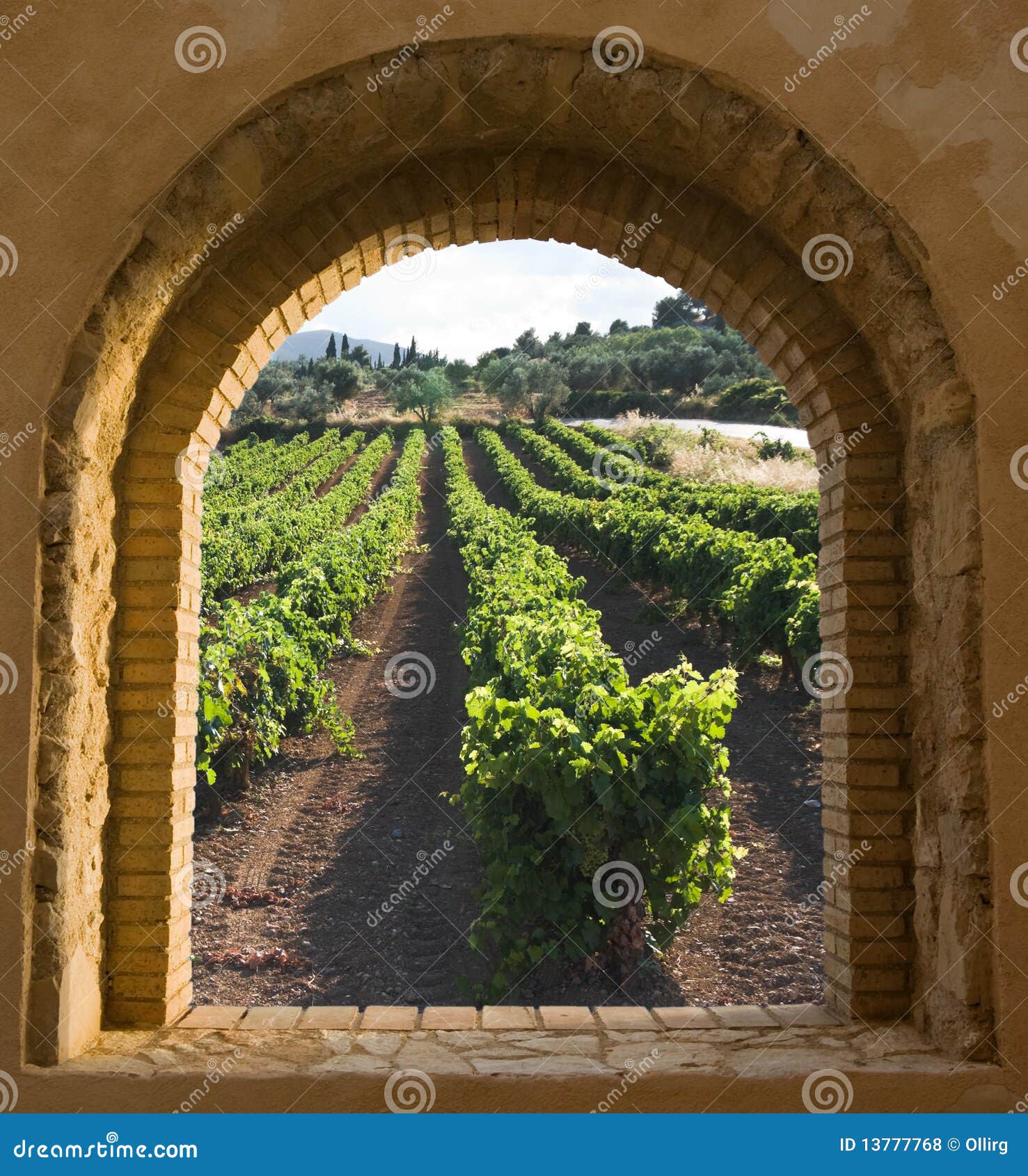 Arched Window on the Vineyard Stock Photo - Image of farming, idyllic ...