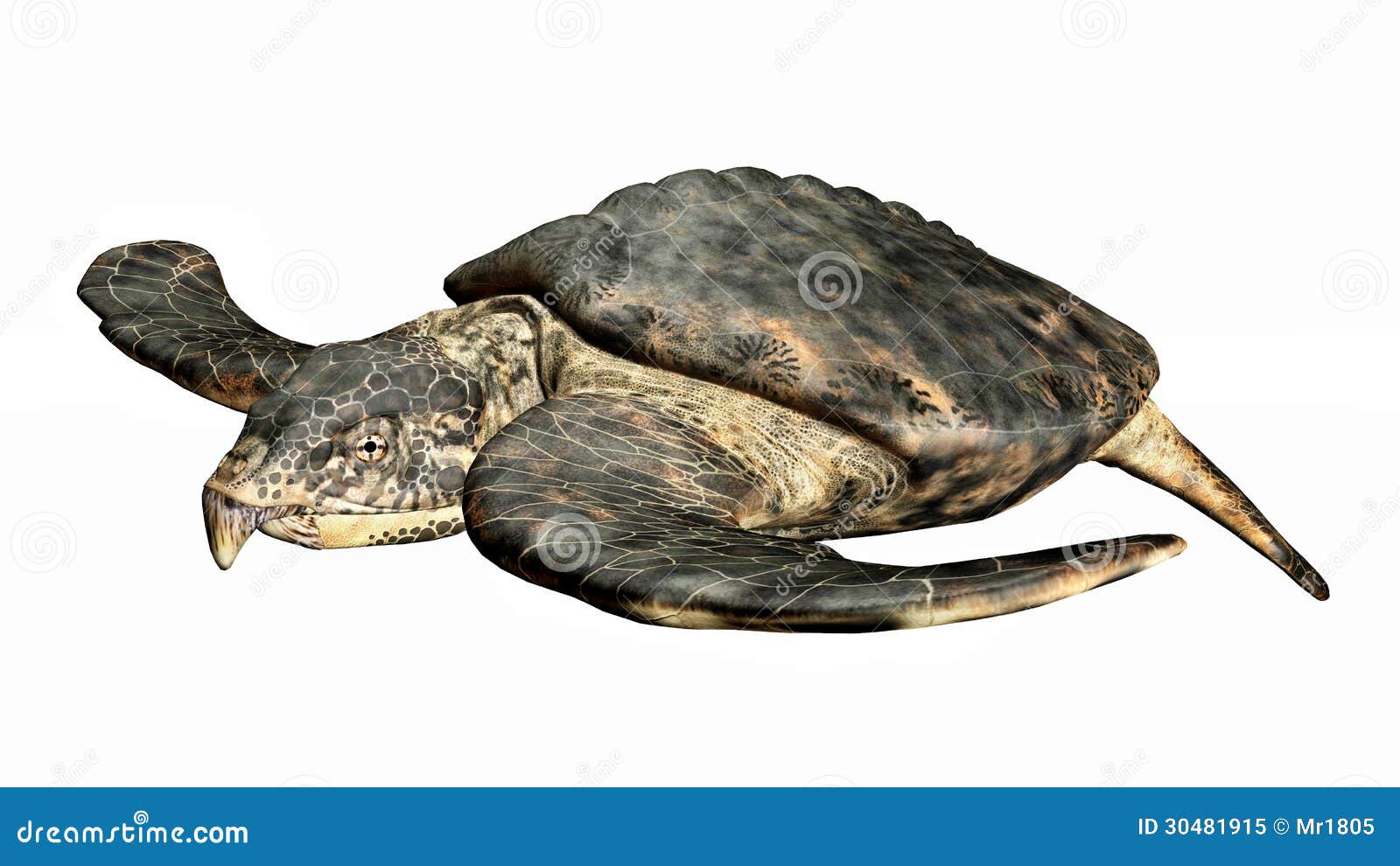 Archelon stock de ilustración. Ilustración de gigante - 30481915