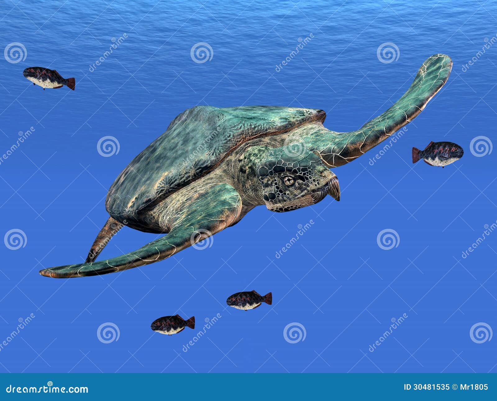 Archelon Sea Turtle Dinosaur Ancient Vector Illustration Transparent ...